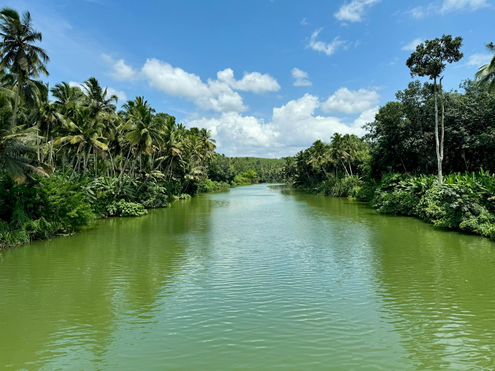 Kerala Tourism Photos, Download The BEST Free Kerala Tourism Stock ...