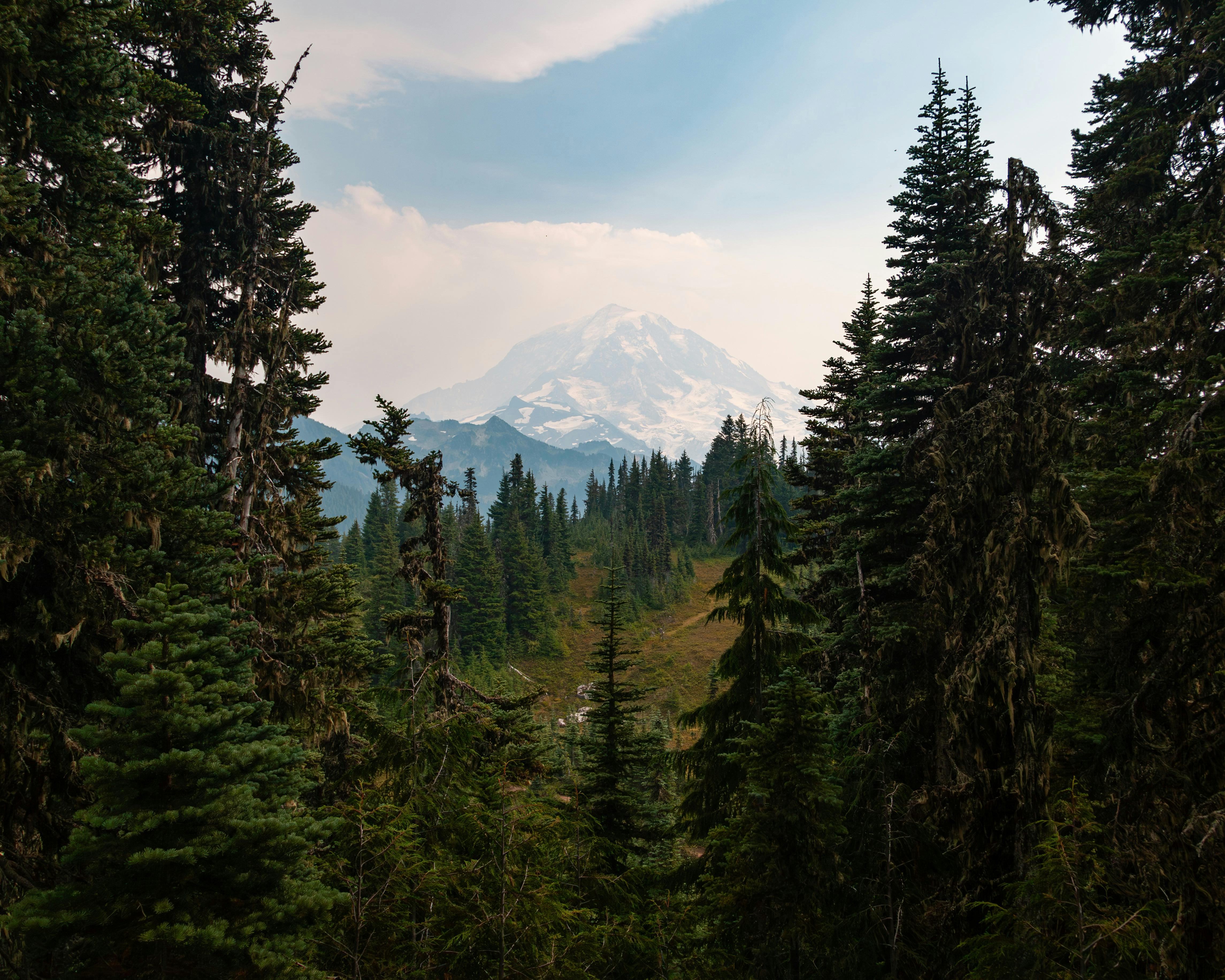 Majestic View of Mount Rainier in National Park · Free Stock Photo