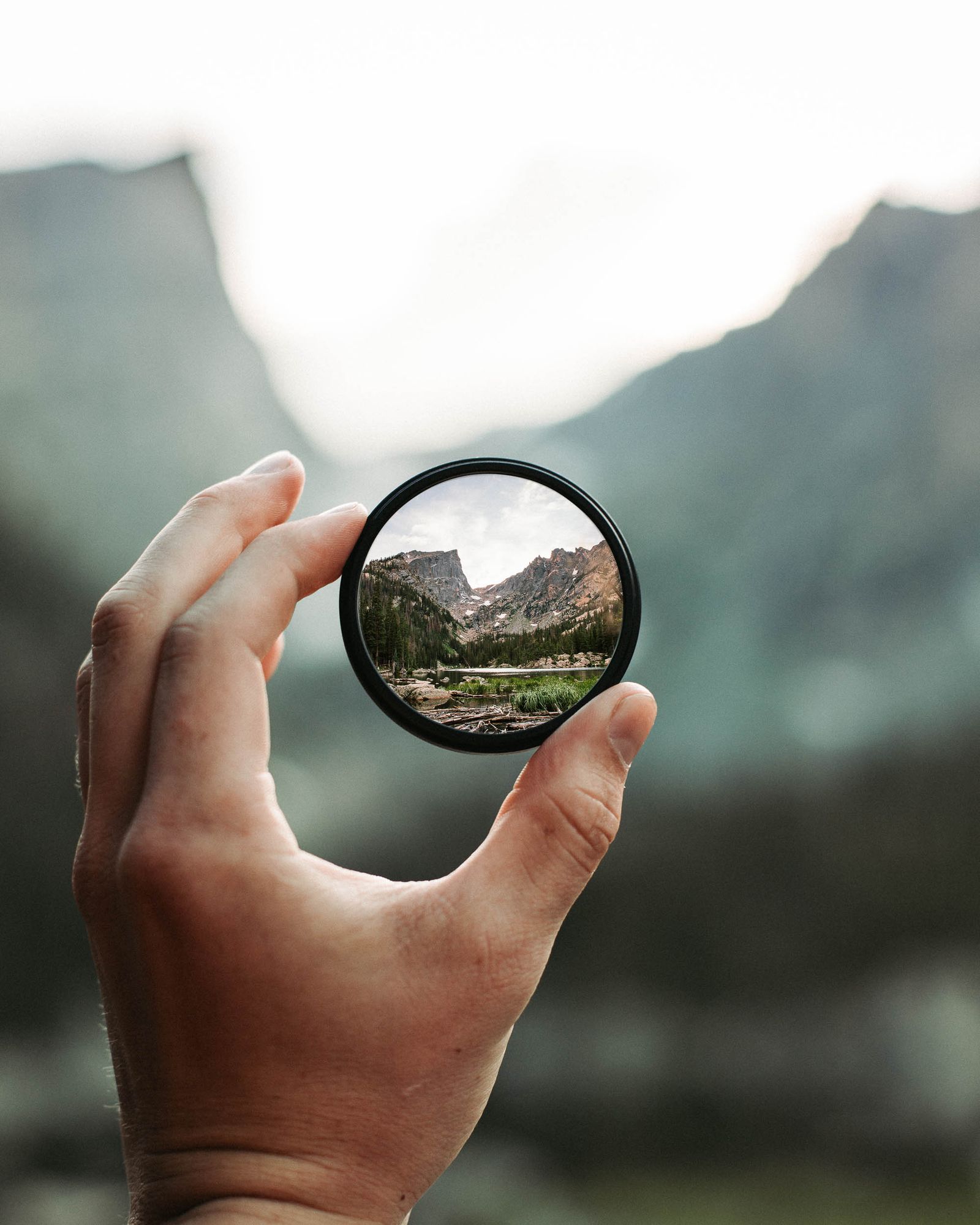 Curiosity Photos, Download The BEST Free Curiosity Stock Photos & HD Images