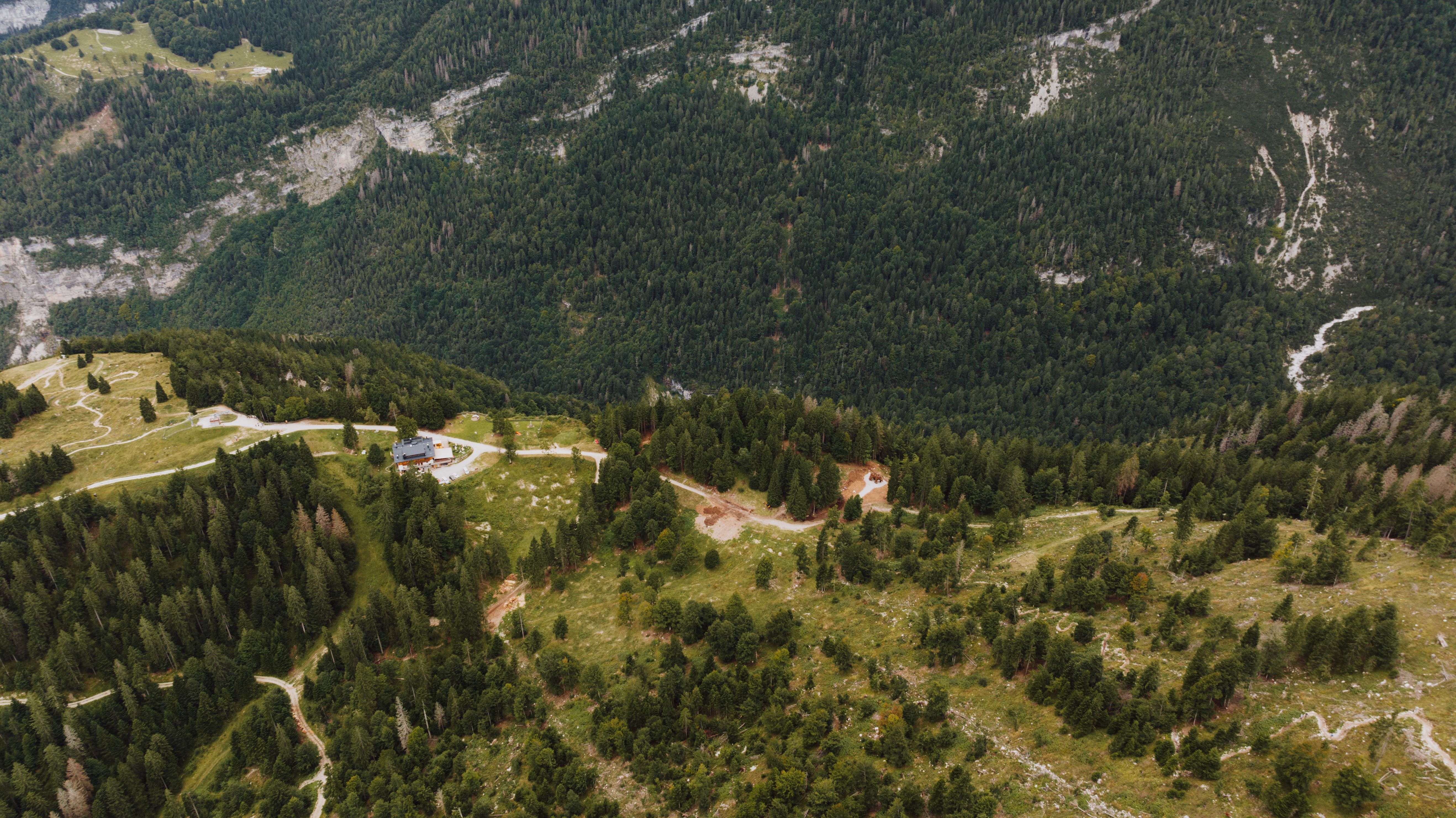Aerial View of Verdant Forest in Molveno, Italy · Free Stock Photo