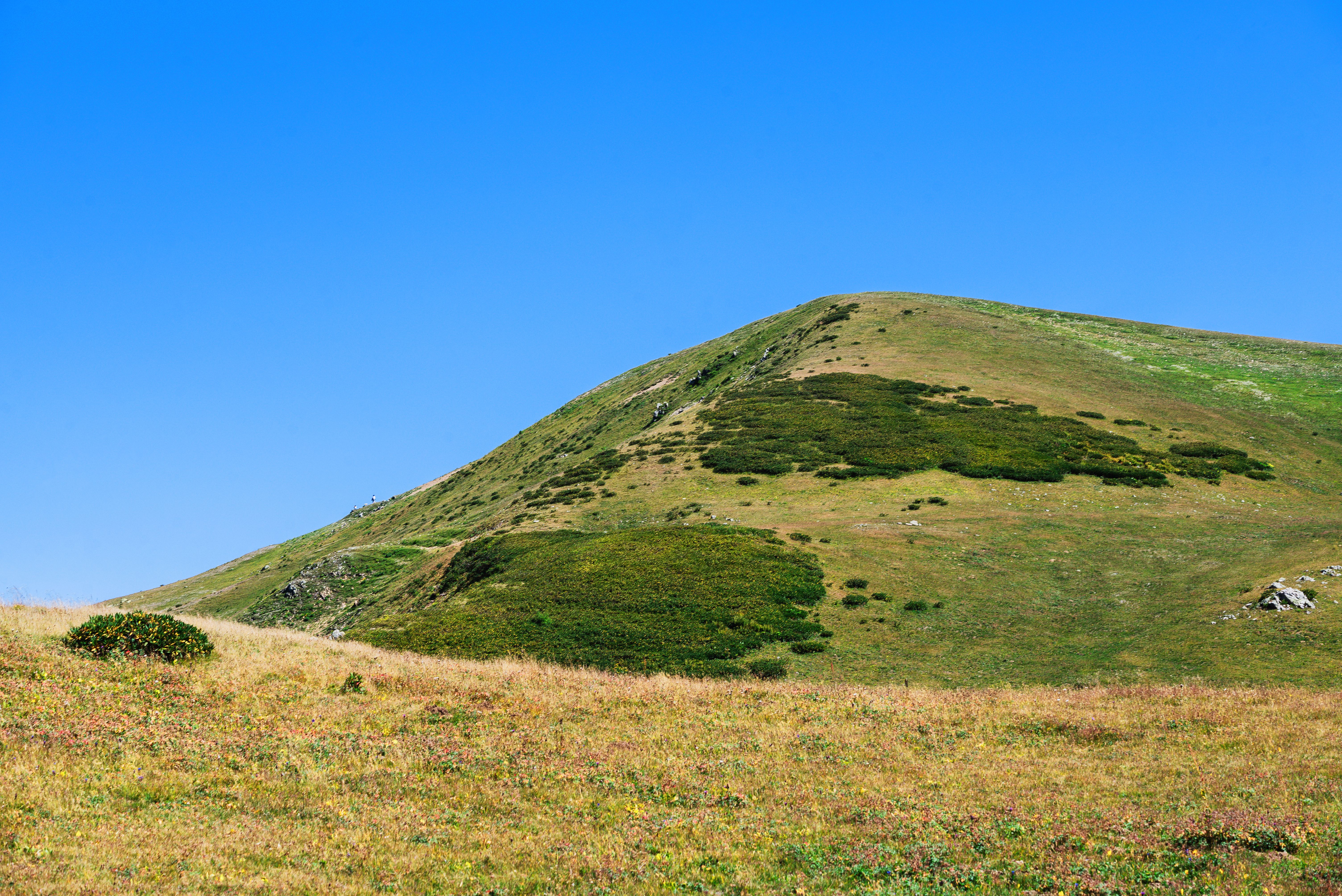Scenic Hill Landscape in Gagra Mountains · Free Stock Photo