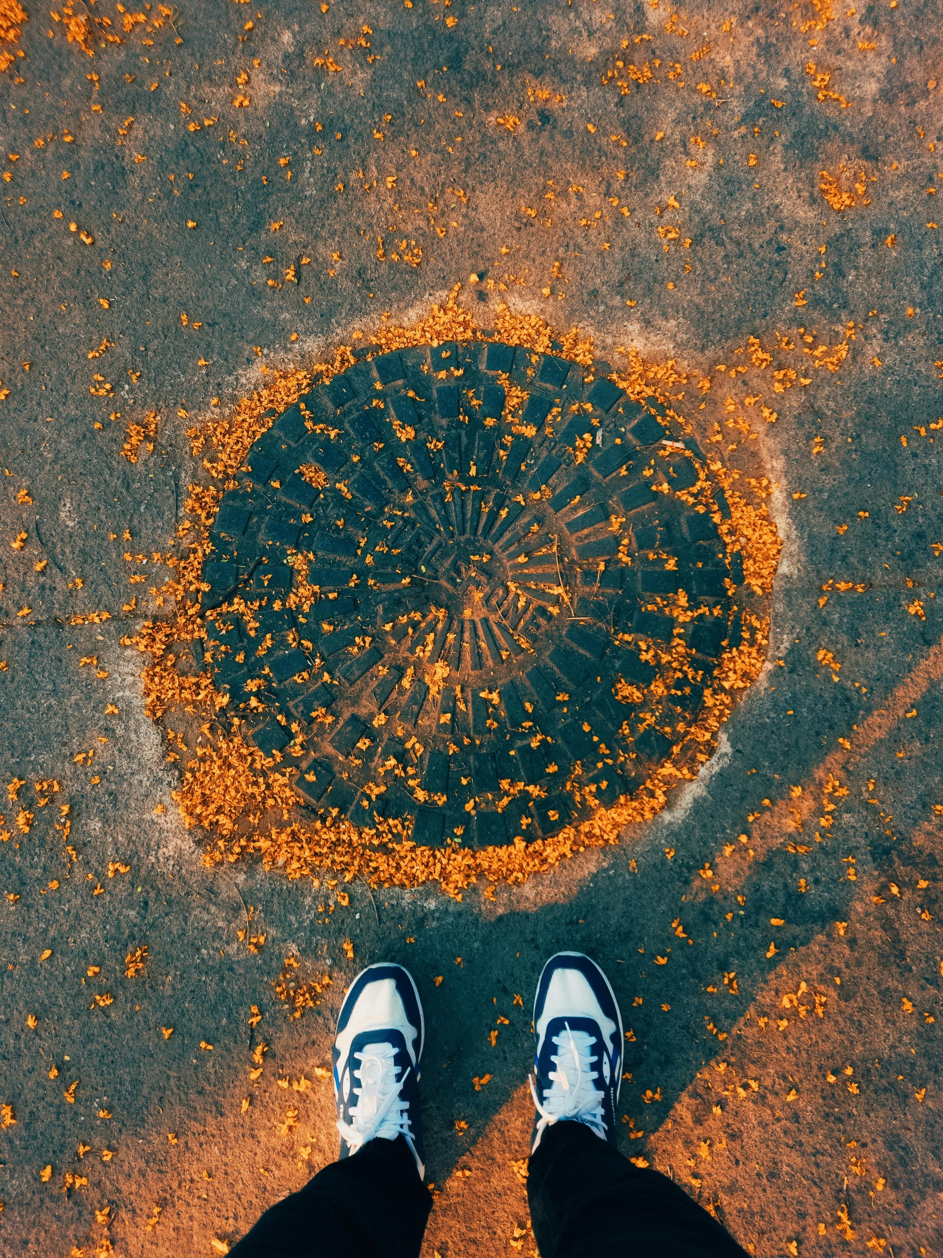 Artistic Overhead Shot of Urban Manhole Cover · Free Stock Photo