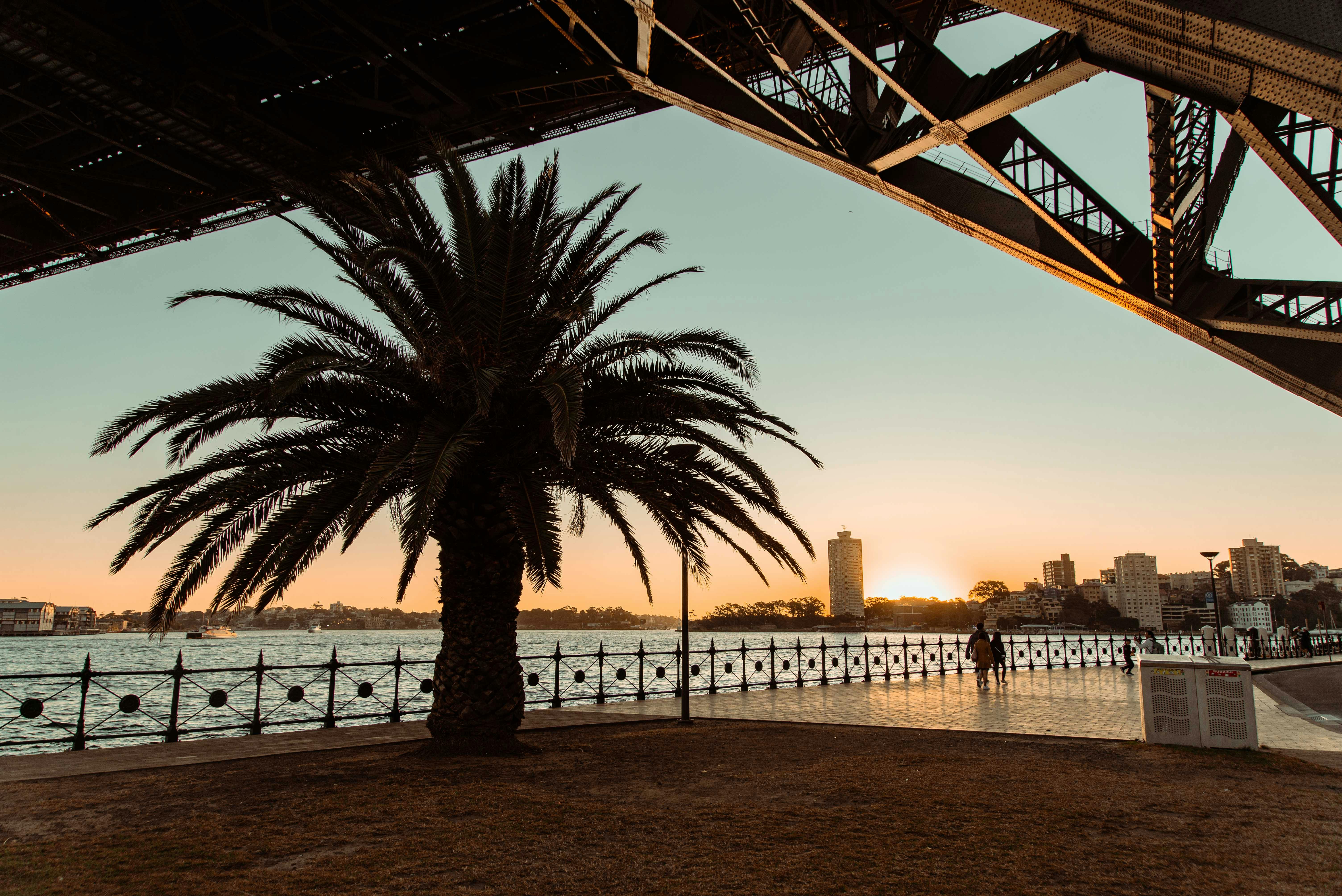 Under The Sea Photos, Download The BEST Free Under The Sea Stock Photos ...