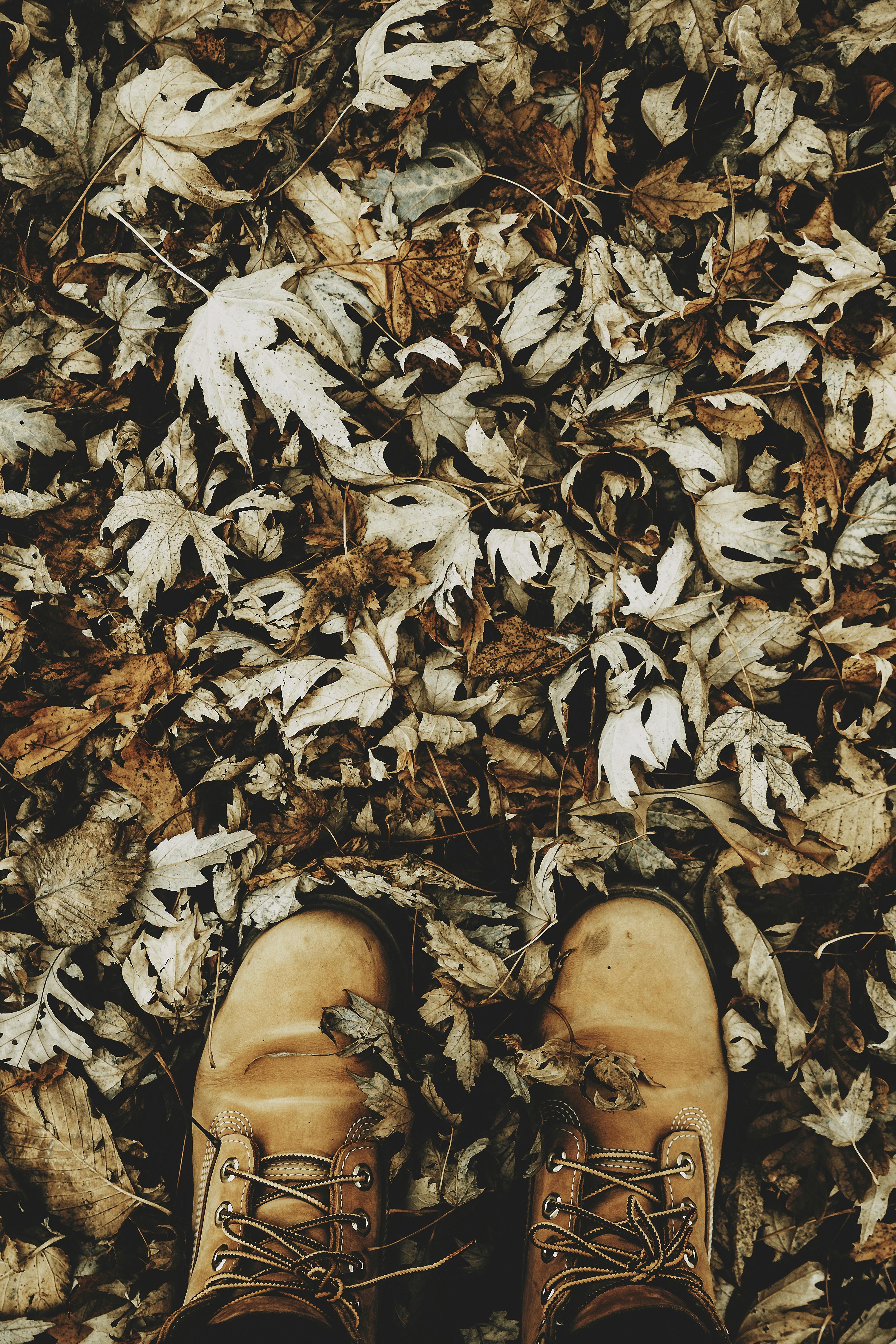 Autumn Shoes Photos, Download The BEST Free Autumn Shoes Stock Photos ...