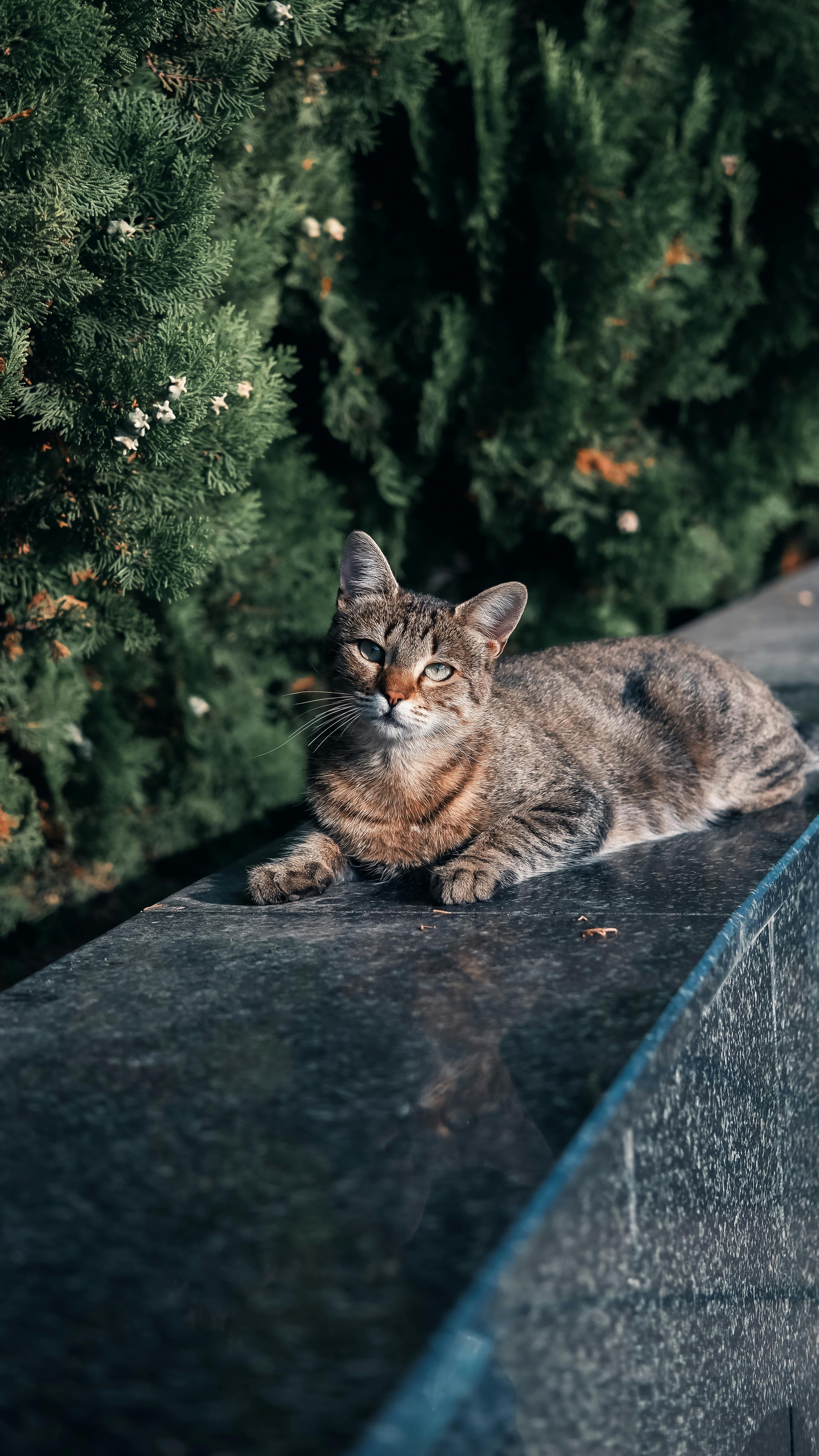 Stock Images Photos, Download The BEST Free Stock Images Stock Photos ...