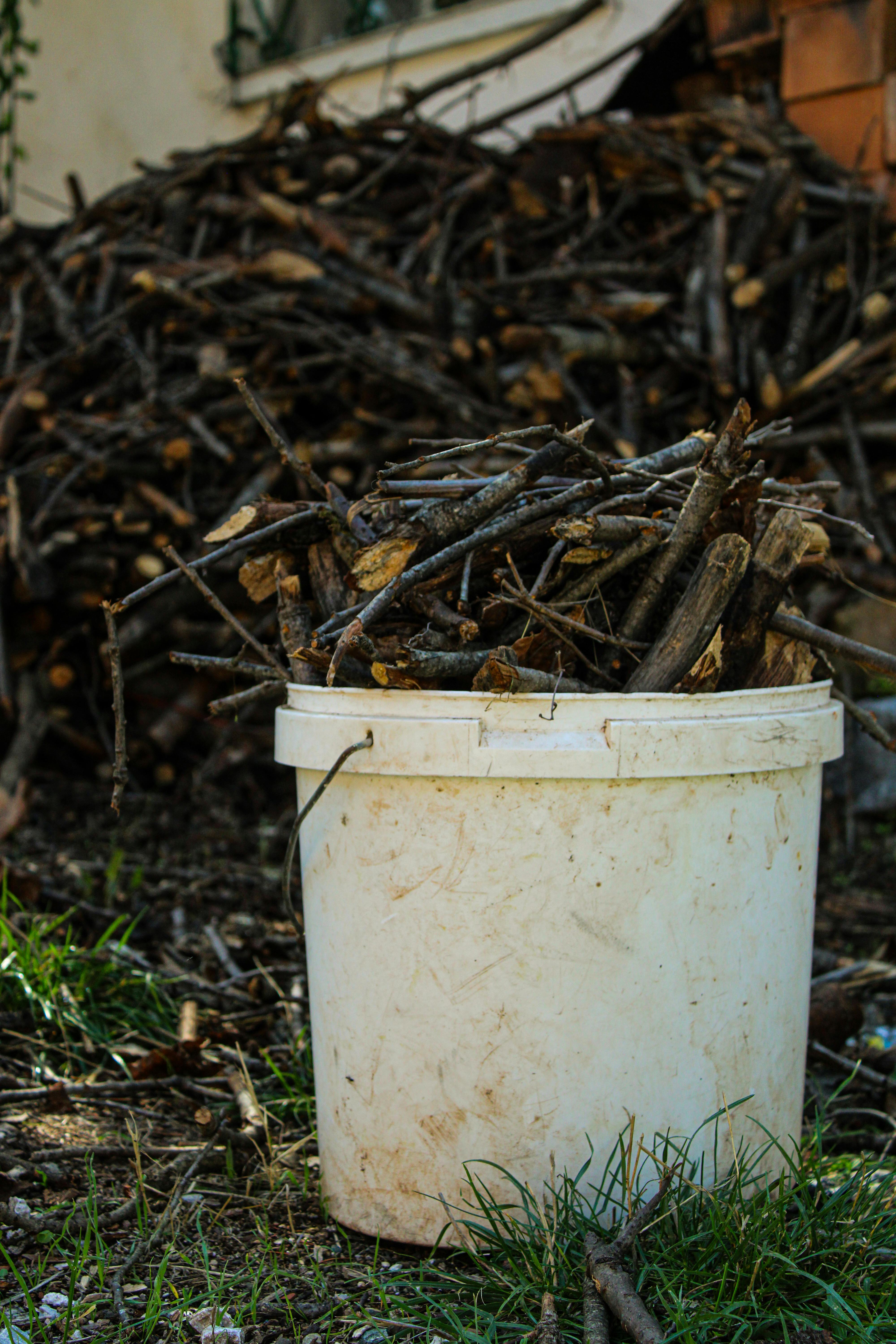 Living Resources Photos, Download The BEST Free Living Resources Stock ...