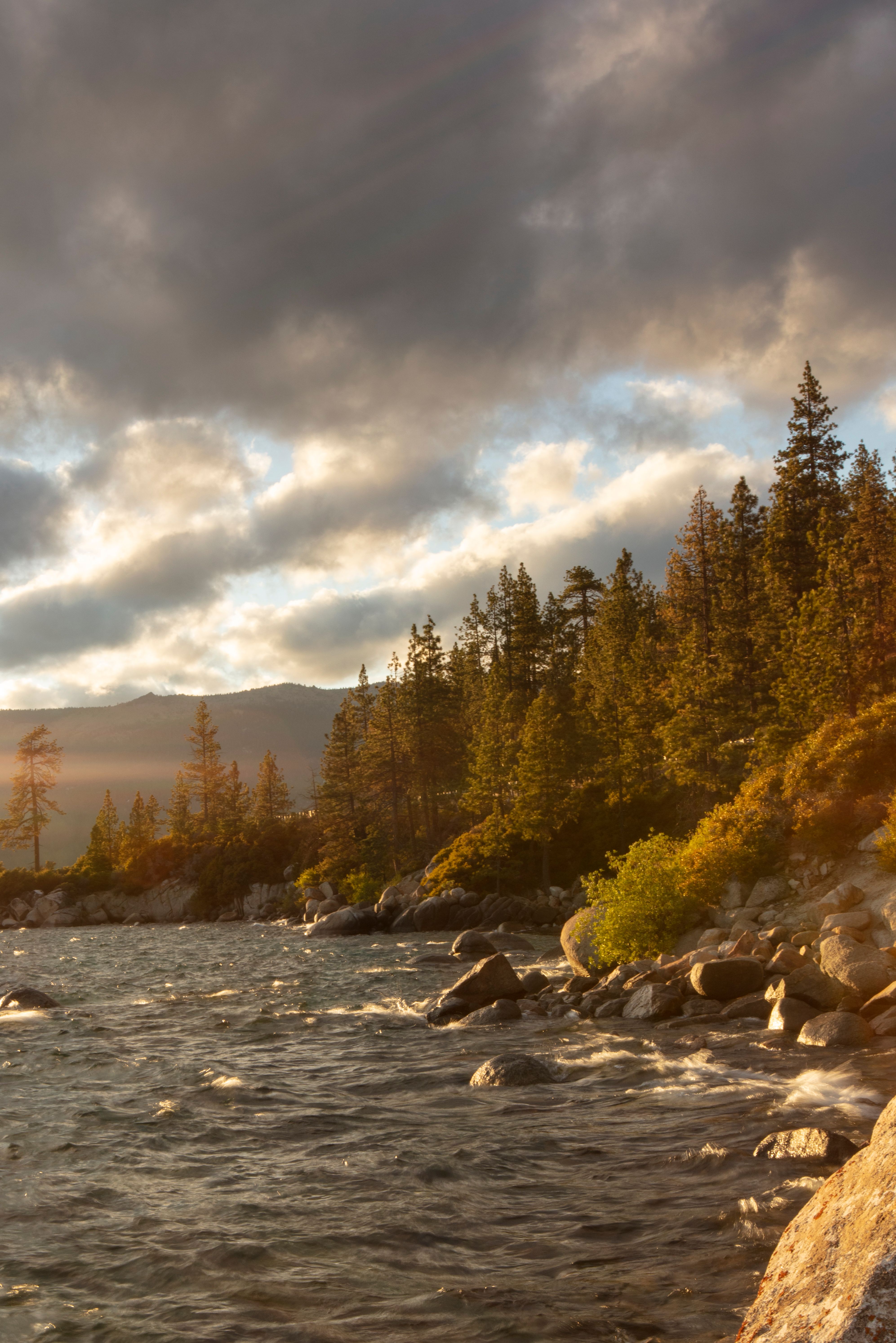 Tranquil Forest Lake Scene at Sunrise · Free Stock Photo