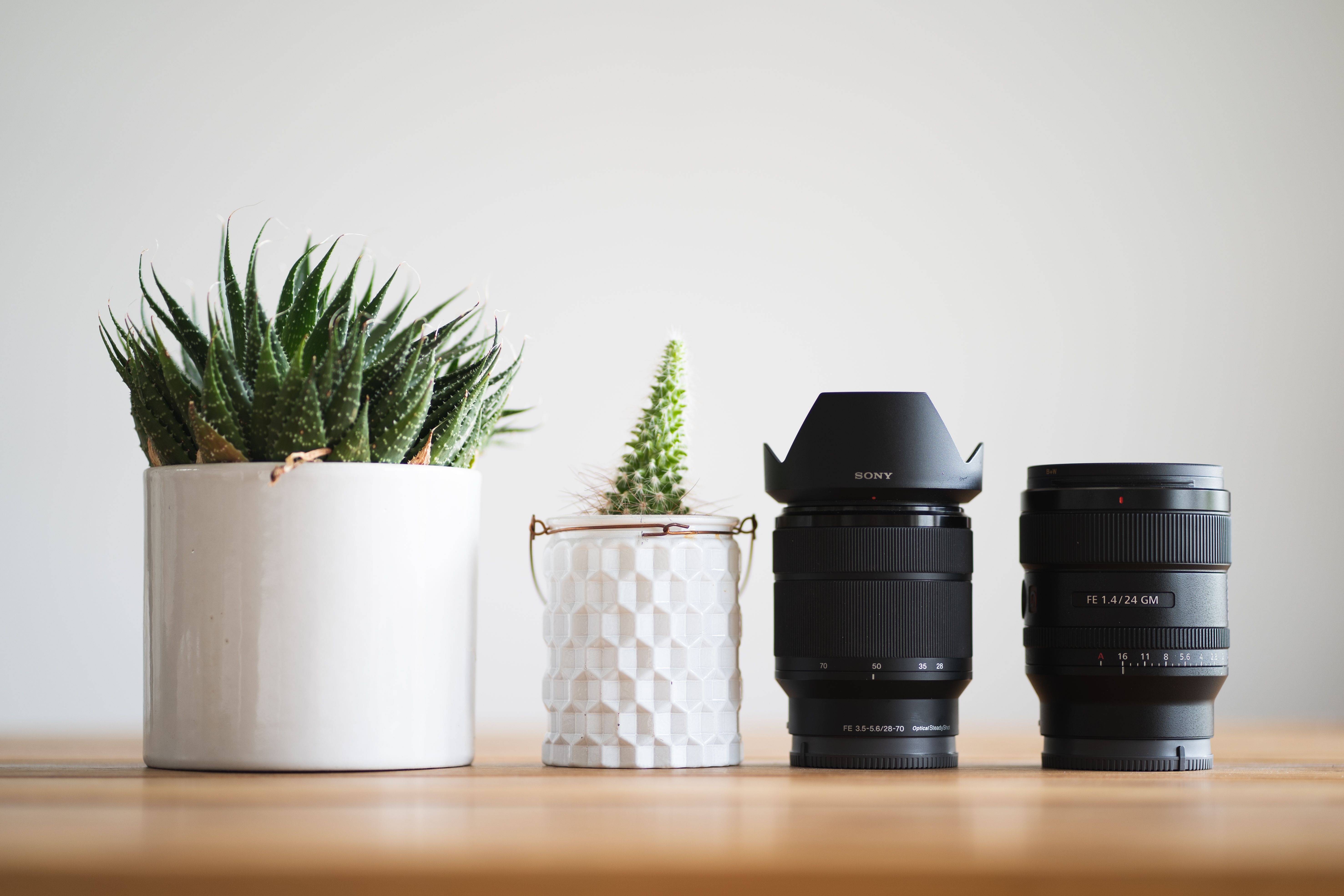 Two Potted Plants next to Dslr Camera Lenses · Free Stock Photo