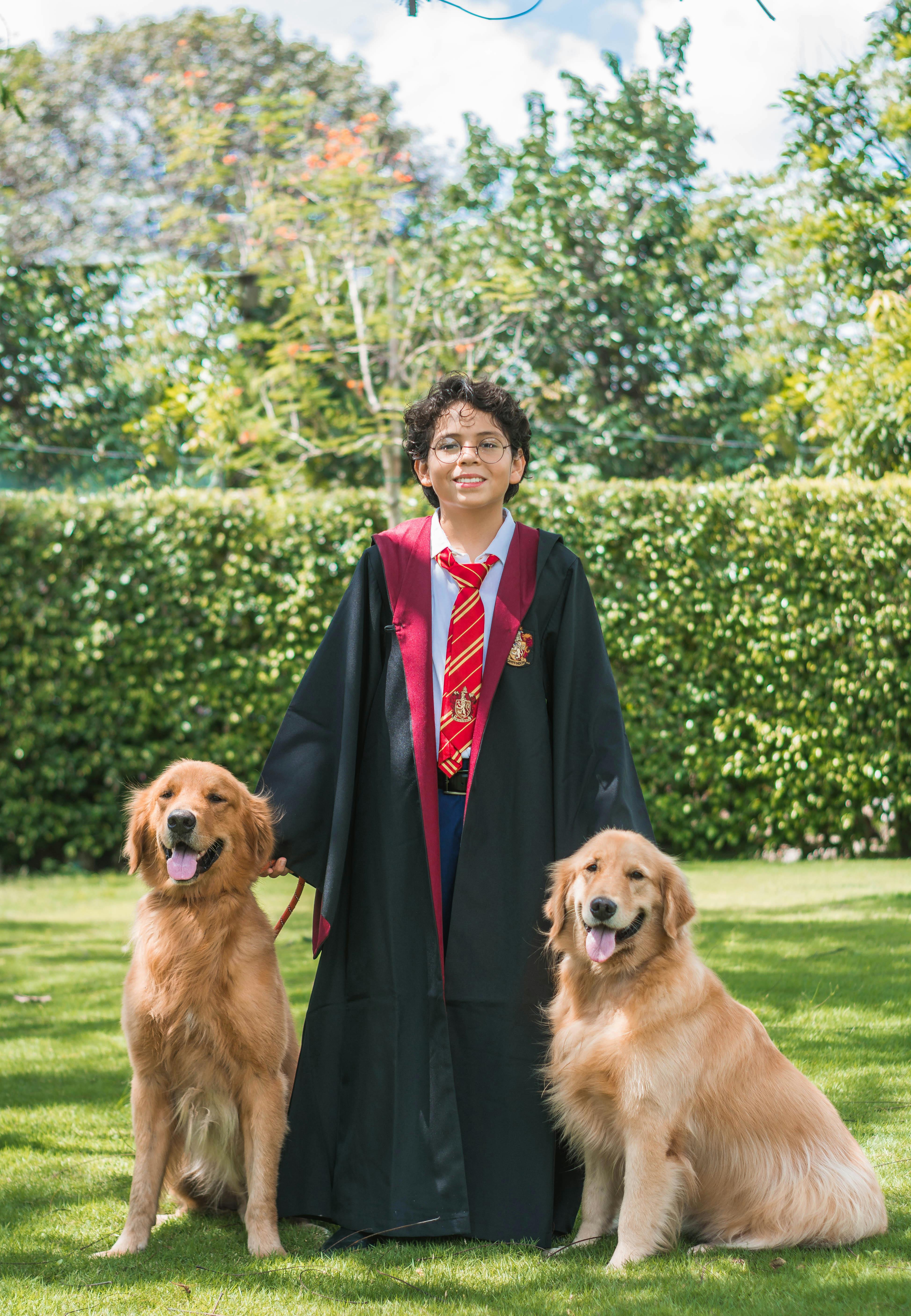 Dogs Magic Photos, Download The BEST Free Dogs Magic Stock Photos & HD ...