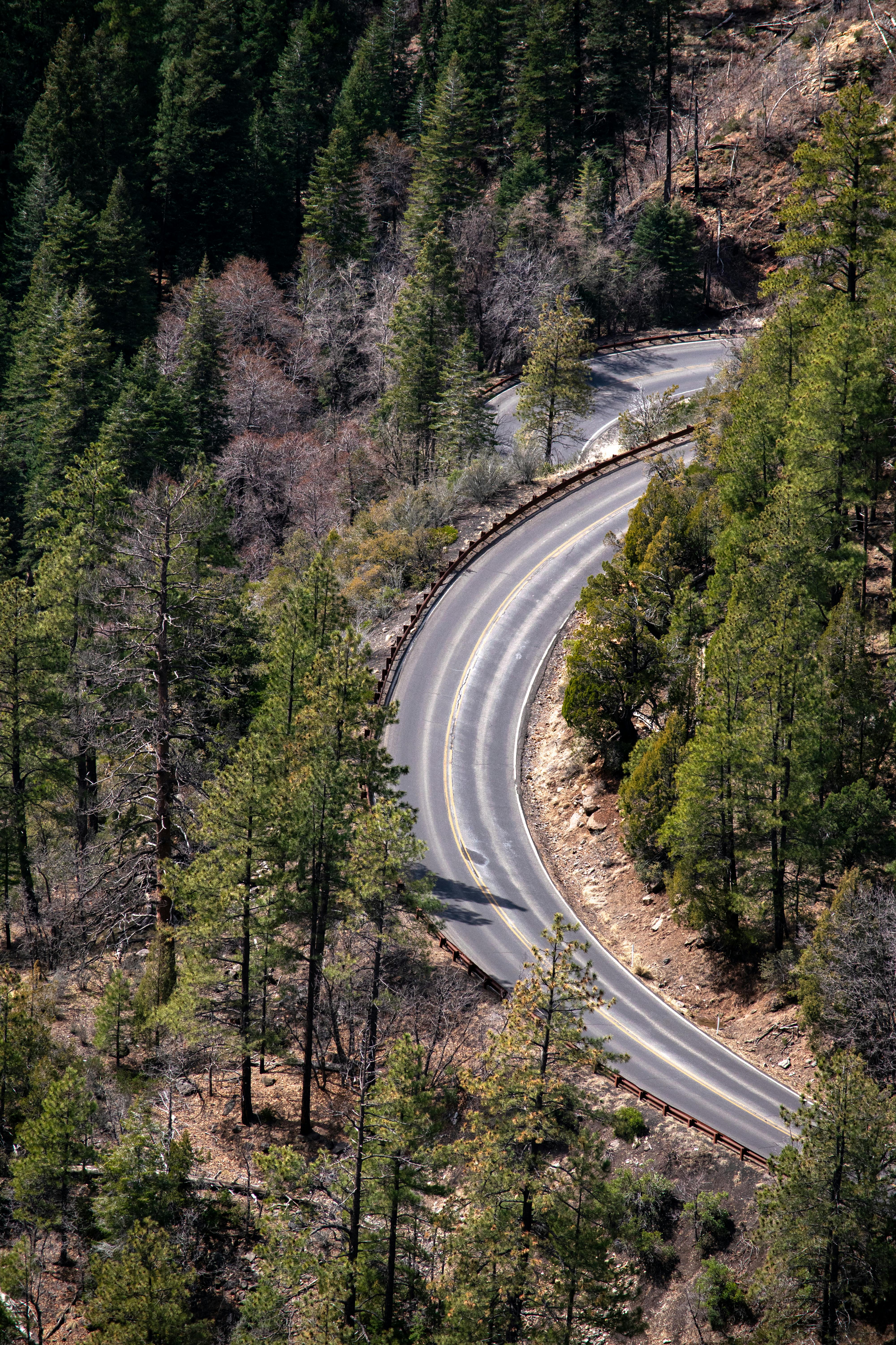 Subindo A Curva · Foto profissional gratuita