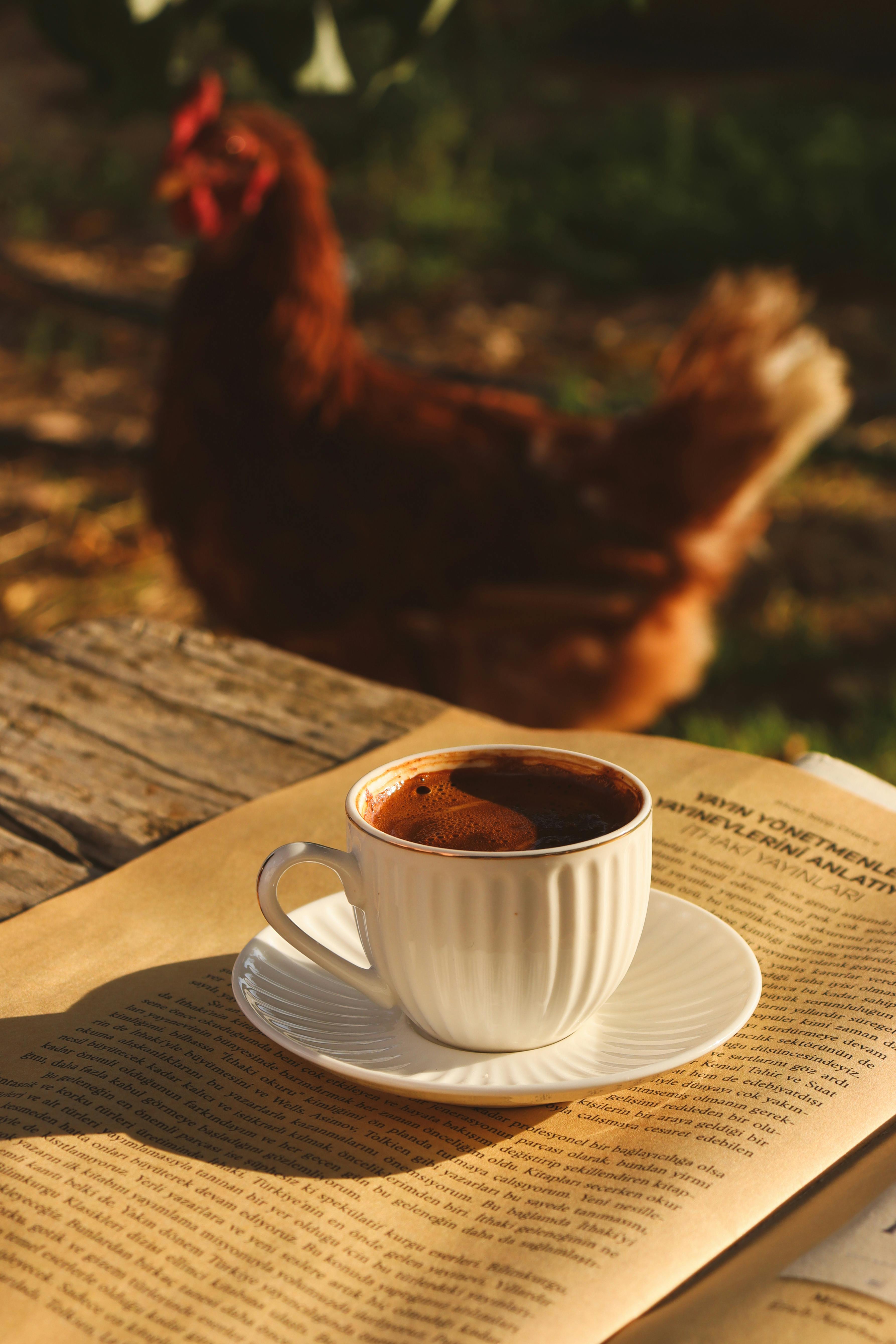 Farm Life Photos, Download The BEST Free Farm Life Stock Photos & HD Images