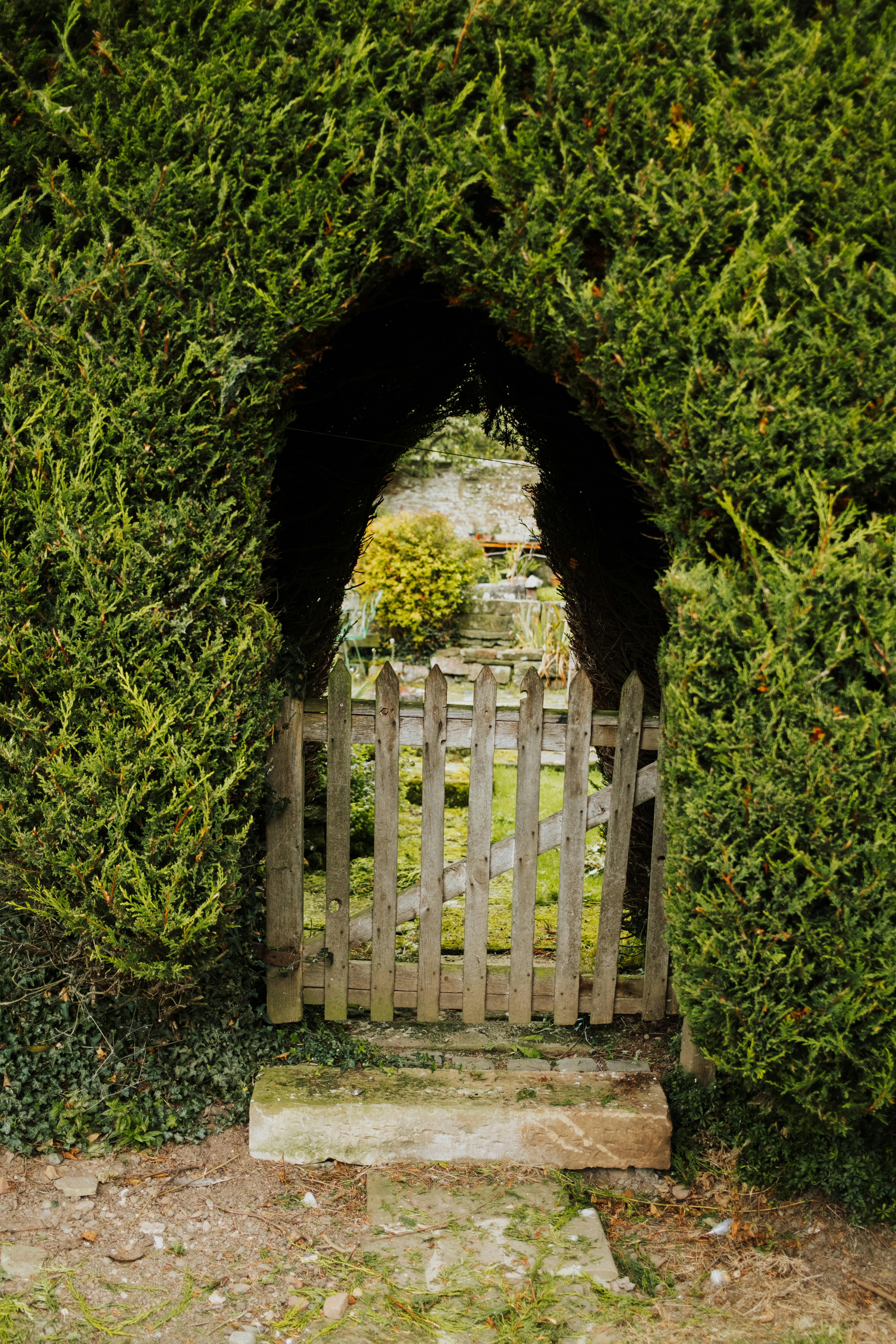Garden Pathway Through Hedge Archway · Free Stock Photo