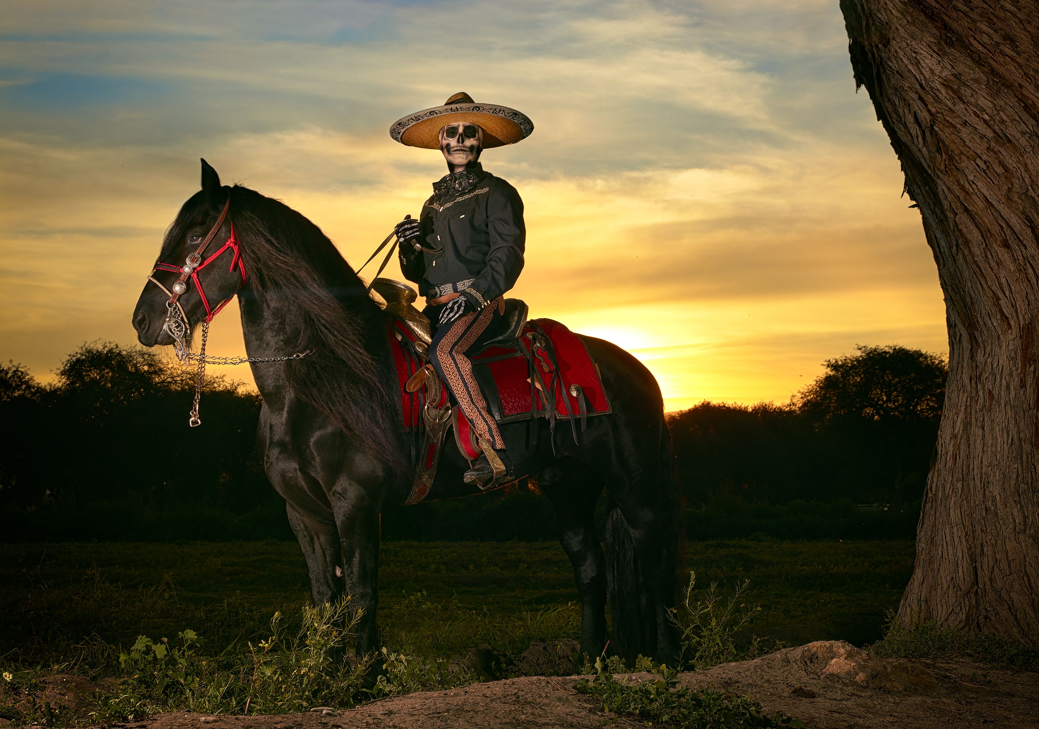 Mexican Horseman in Traditional Charro Outfit at Sunset · Free Stock Photo