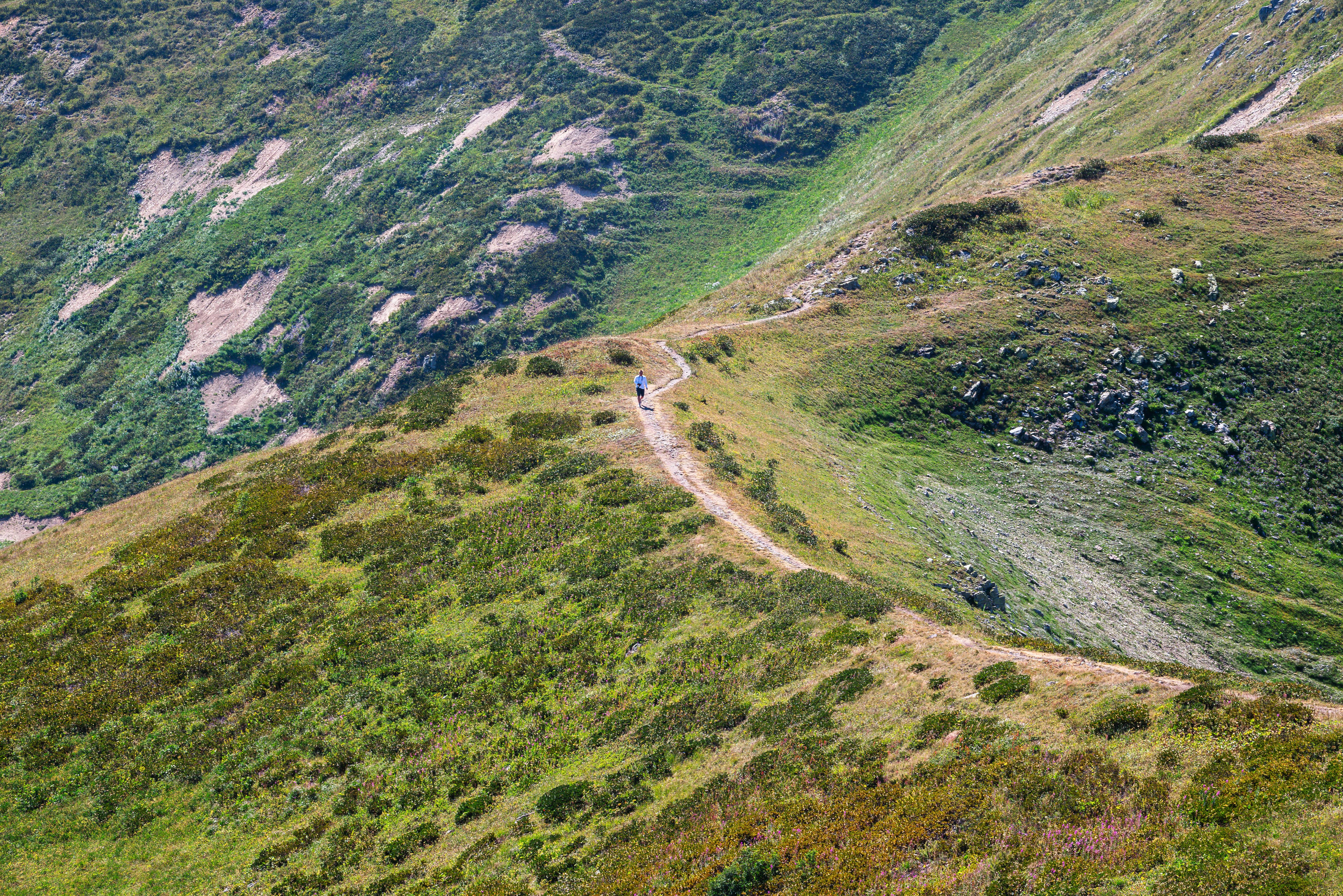 Gagra Range Photos, Download The BEST Free Gagra Range Stock Photos ...