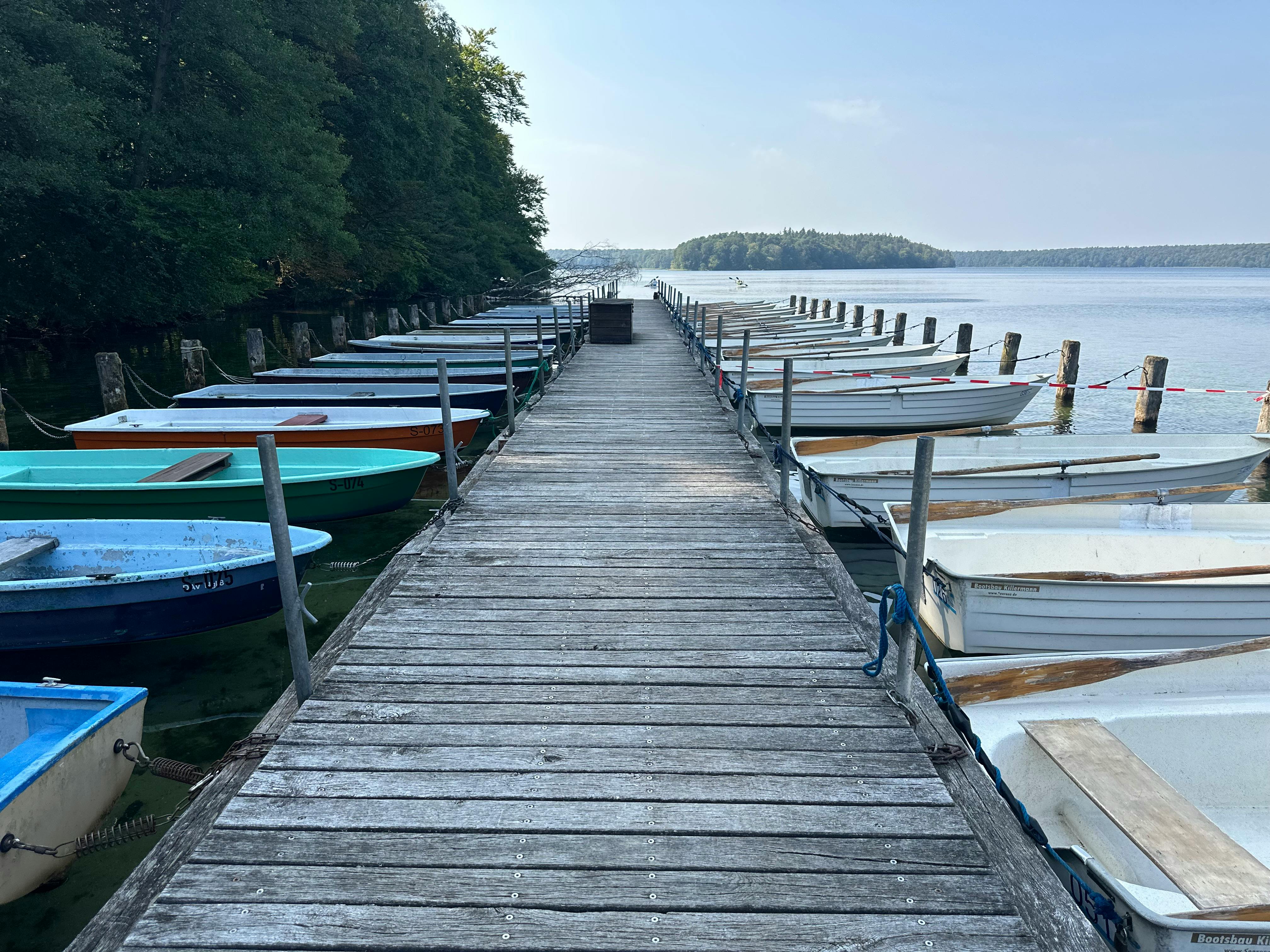 Tree Line Photos, Download The BEST Free Tree Line Stock Photos & HD Images