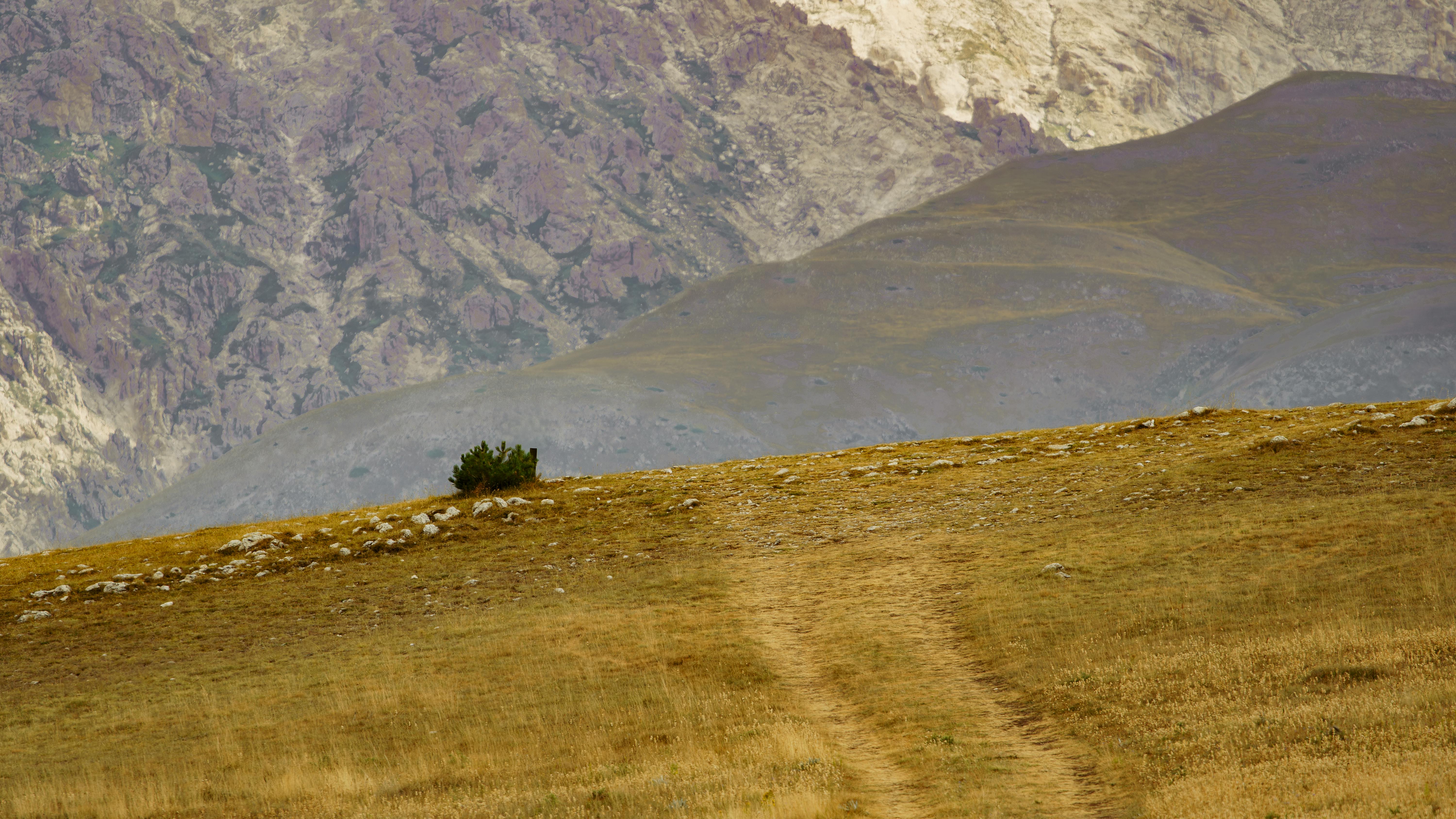 The National Geographic Photos, Download The BEST Free The National ...