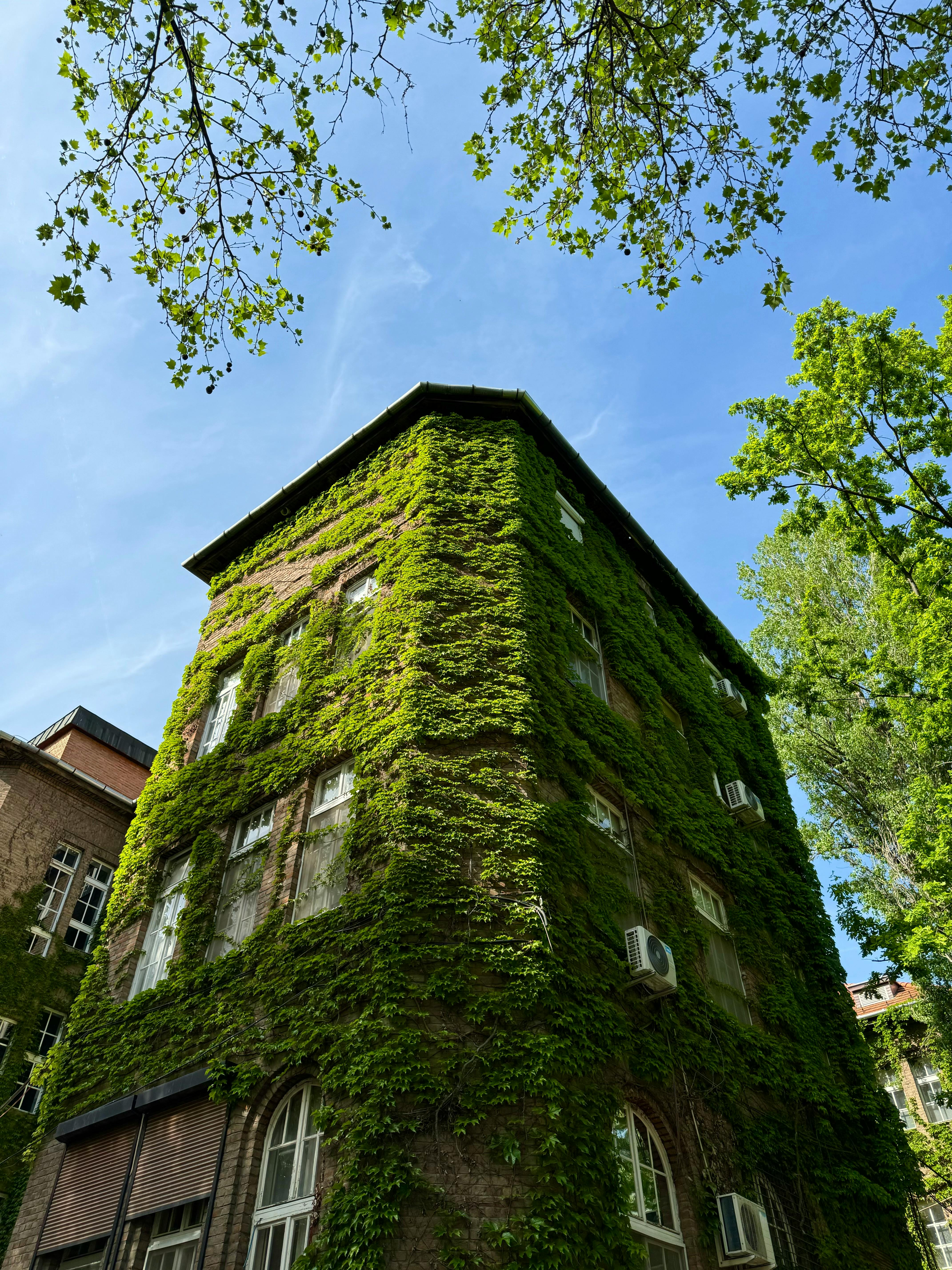 Charming Ivy-Covered Building Under Clear Sky · Free Stock Photo