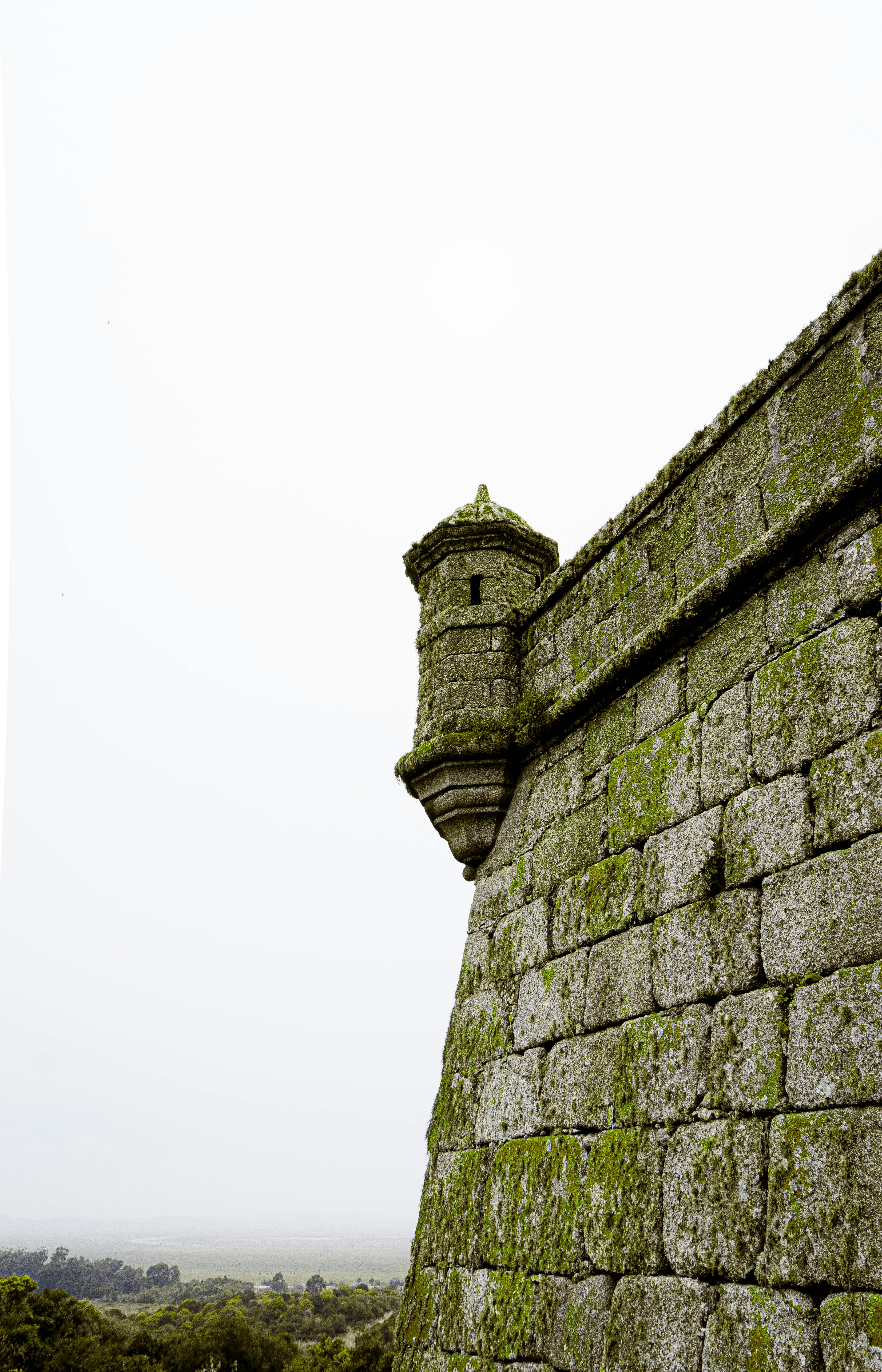 Moss-Covered Medieval Castle Wall with Tower · Free Stock Photo