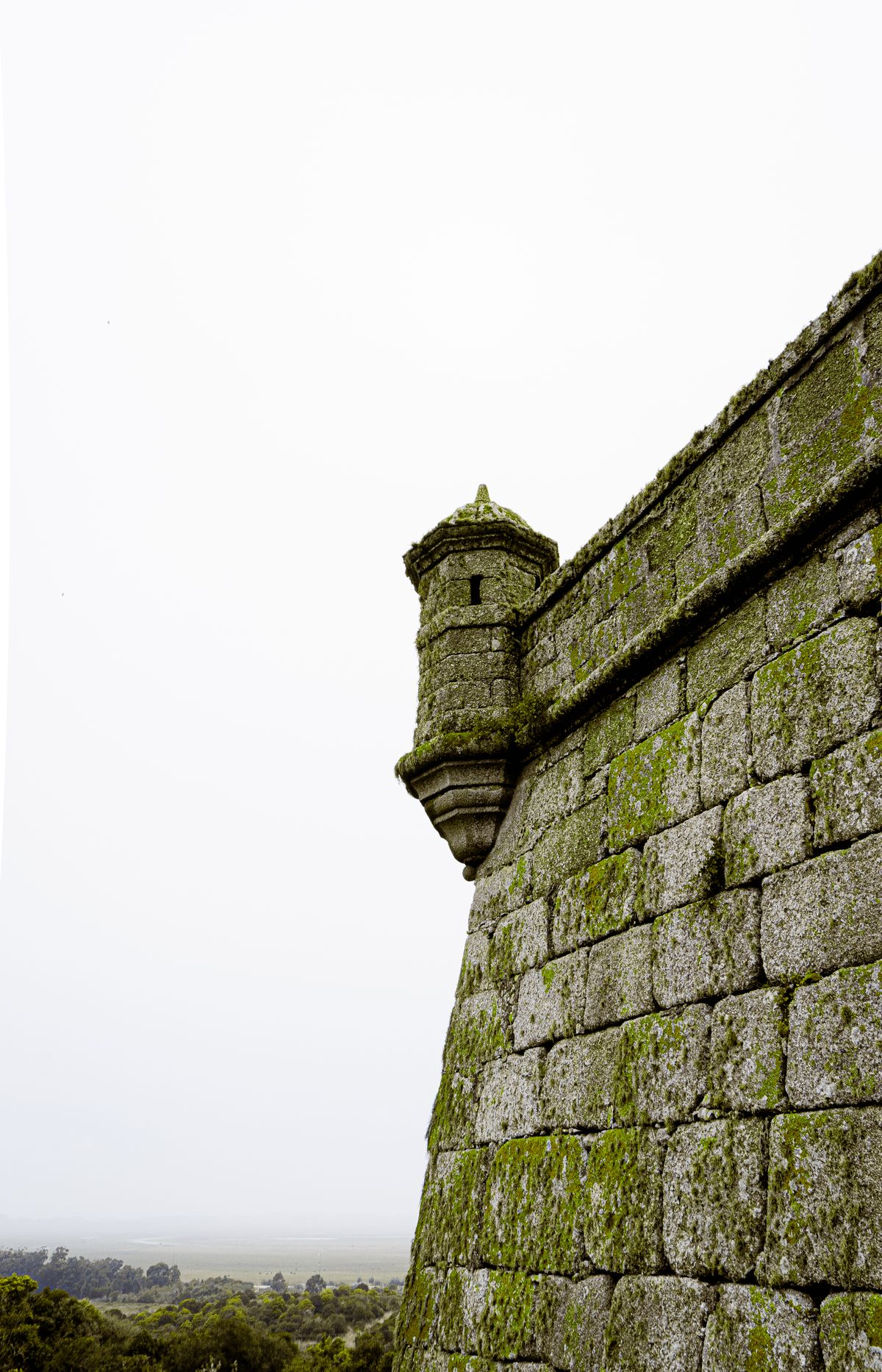 Medevial Castle Photos, Download The BEST Free Medevial Castle Stock ...