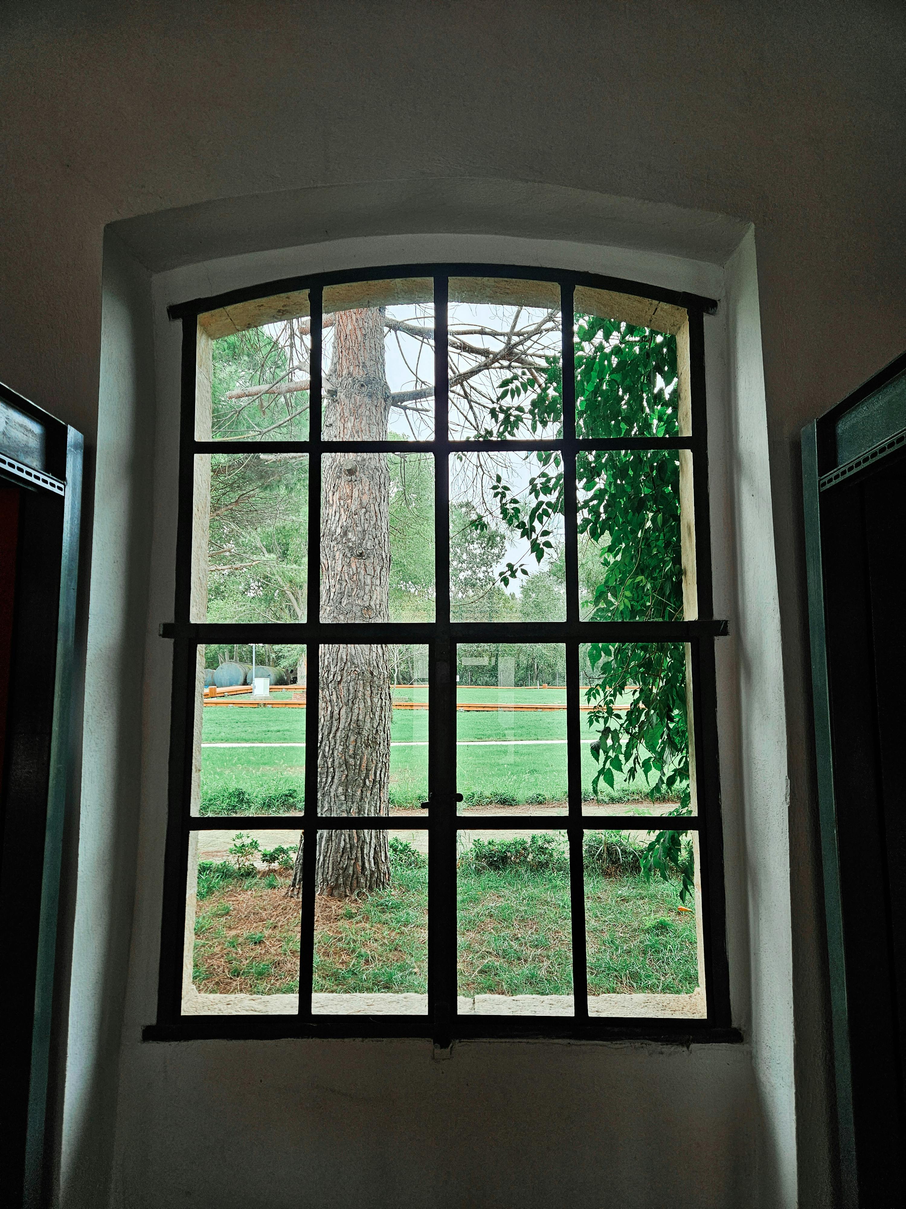 View of Lush Greenery Through Arched Window · Free Stock Photo