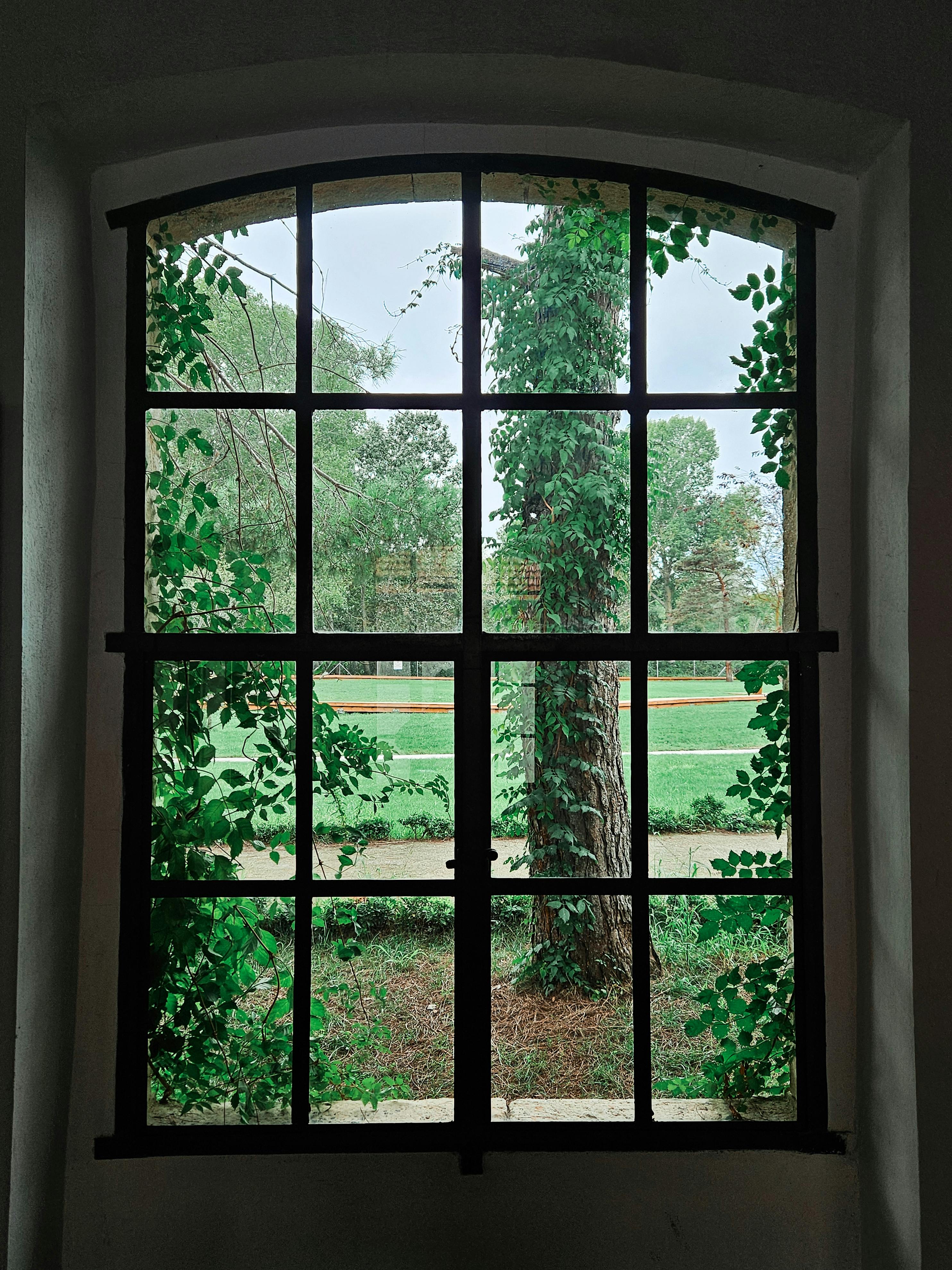 Serene Garden View Through Rustic Window · Free Stock Photo