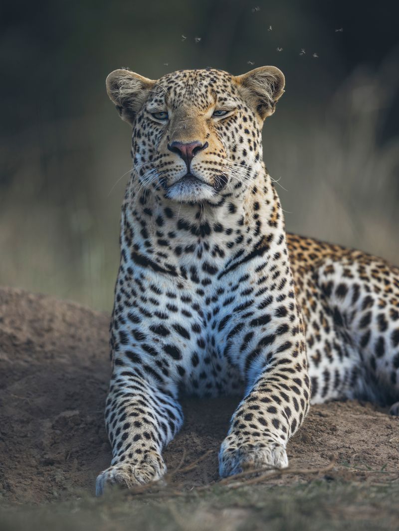 Powerful Photos, Download The BEST Free Powerful Stock Photos & HD Images