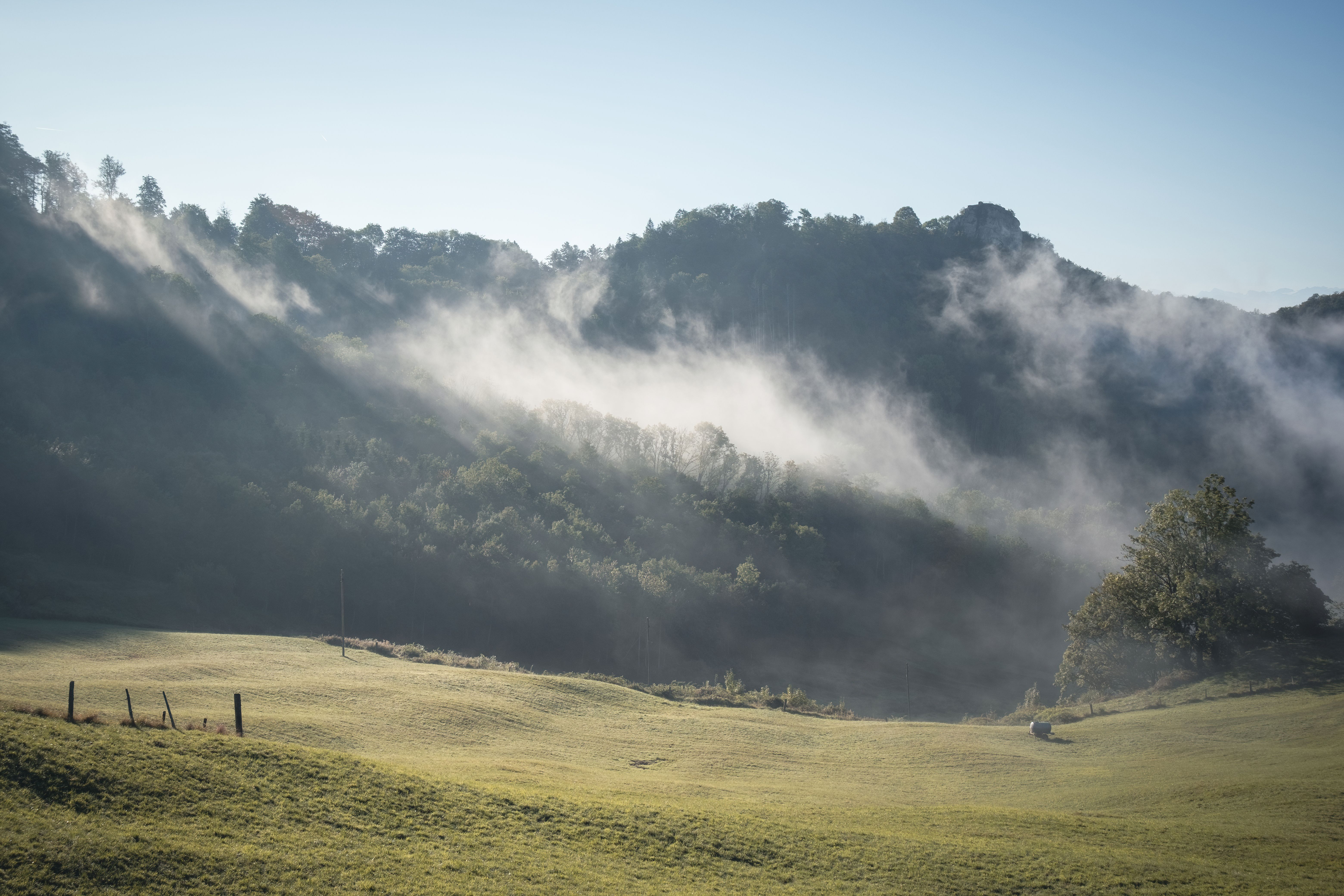 Tranquil Morning Mist in Lush Valley · Free Stock Photo