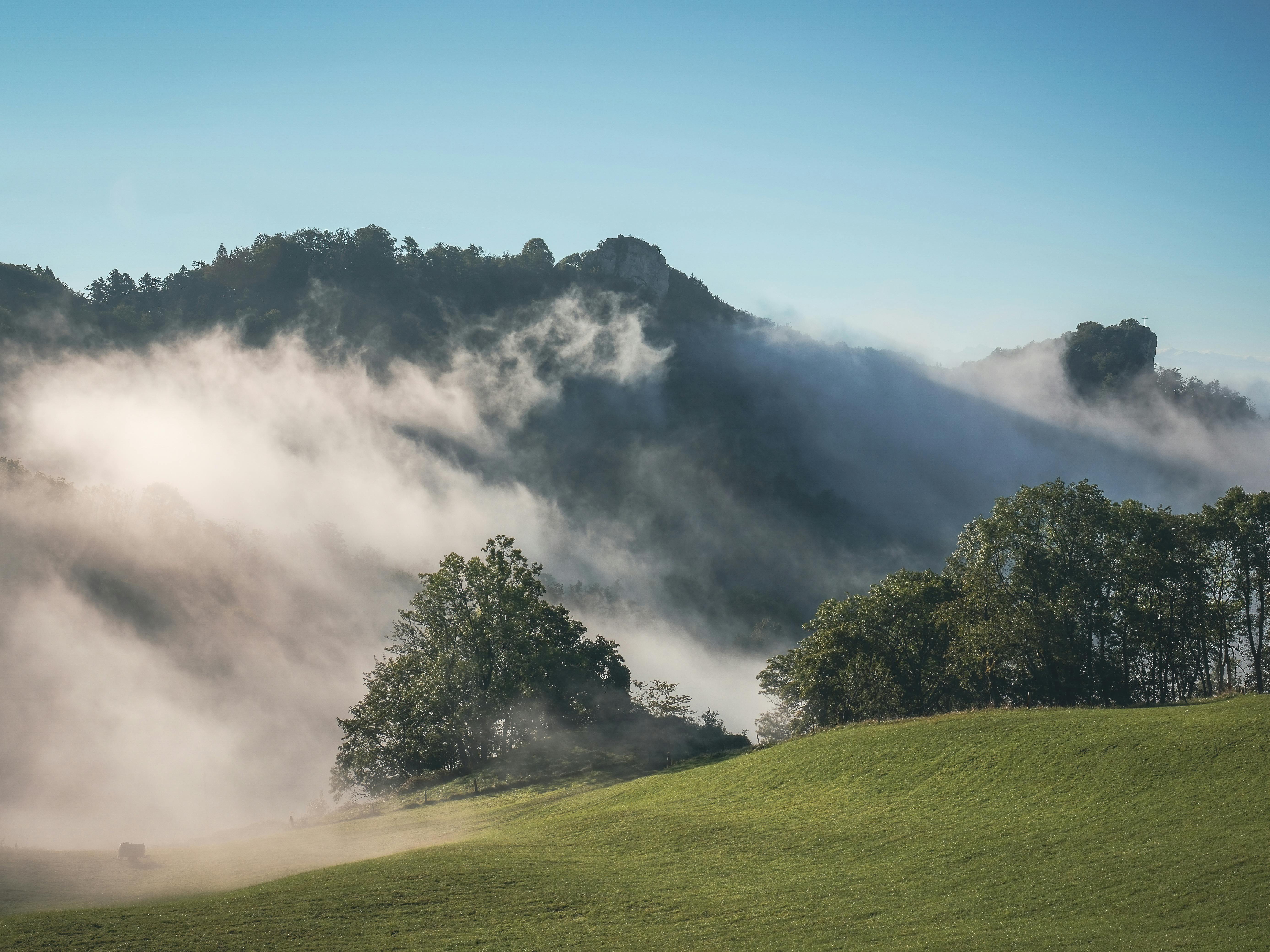 Serene Misty Landscape with Lush Greenery · Free Stock Photo