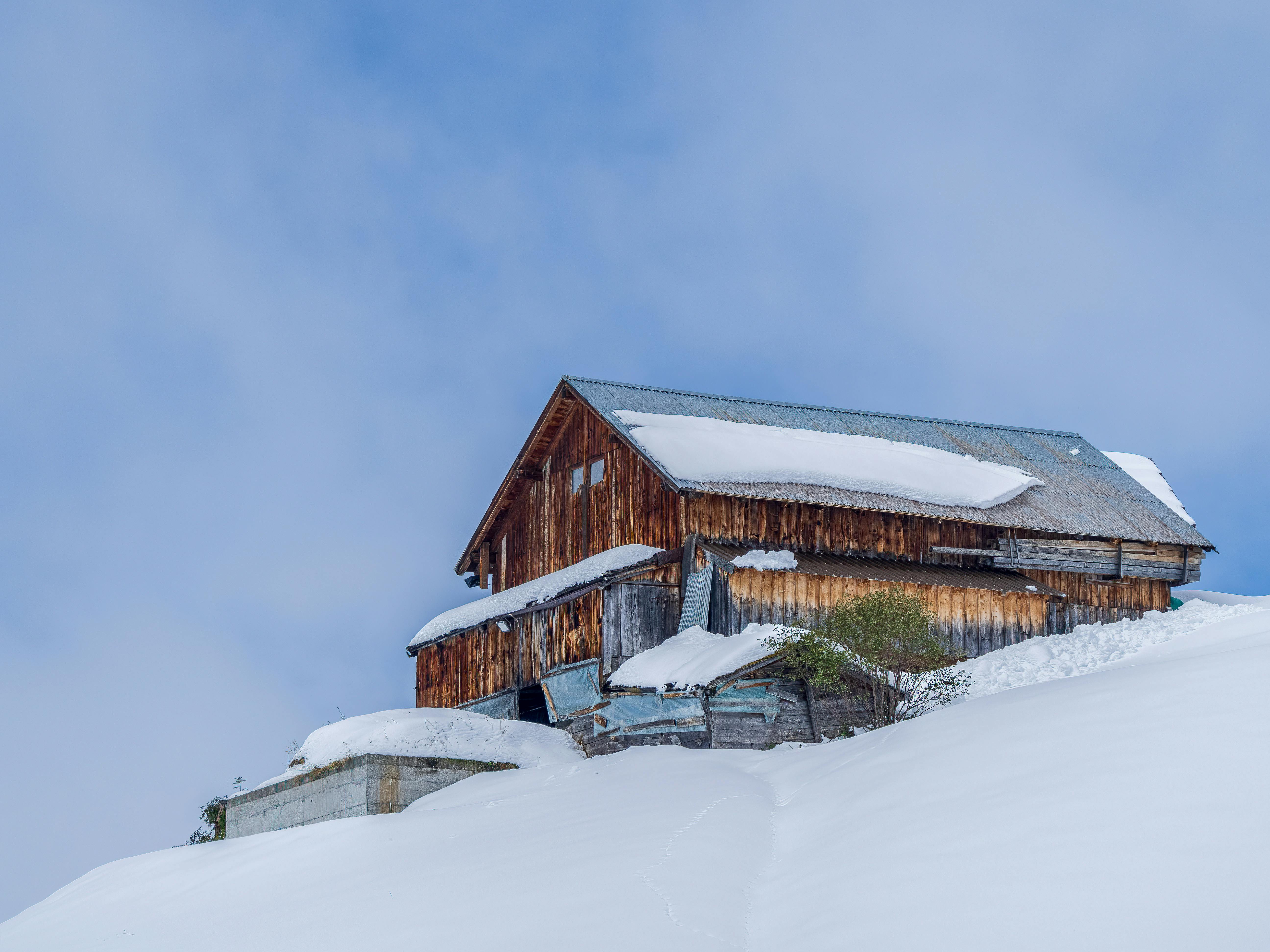 Rustic Snow-Covered Cabin in Winter Landscape · Free Stock Photo