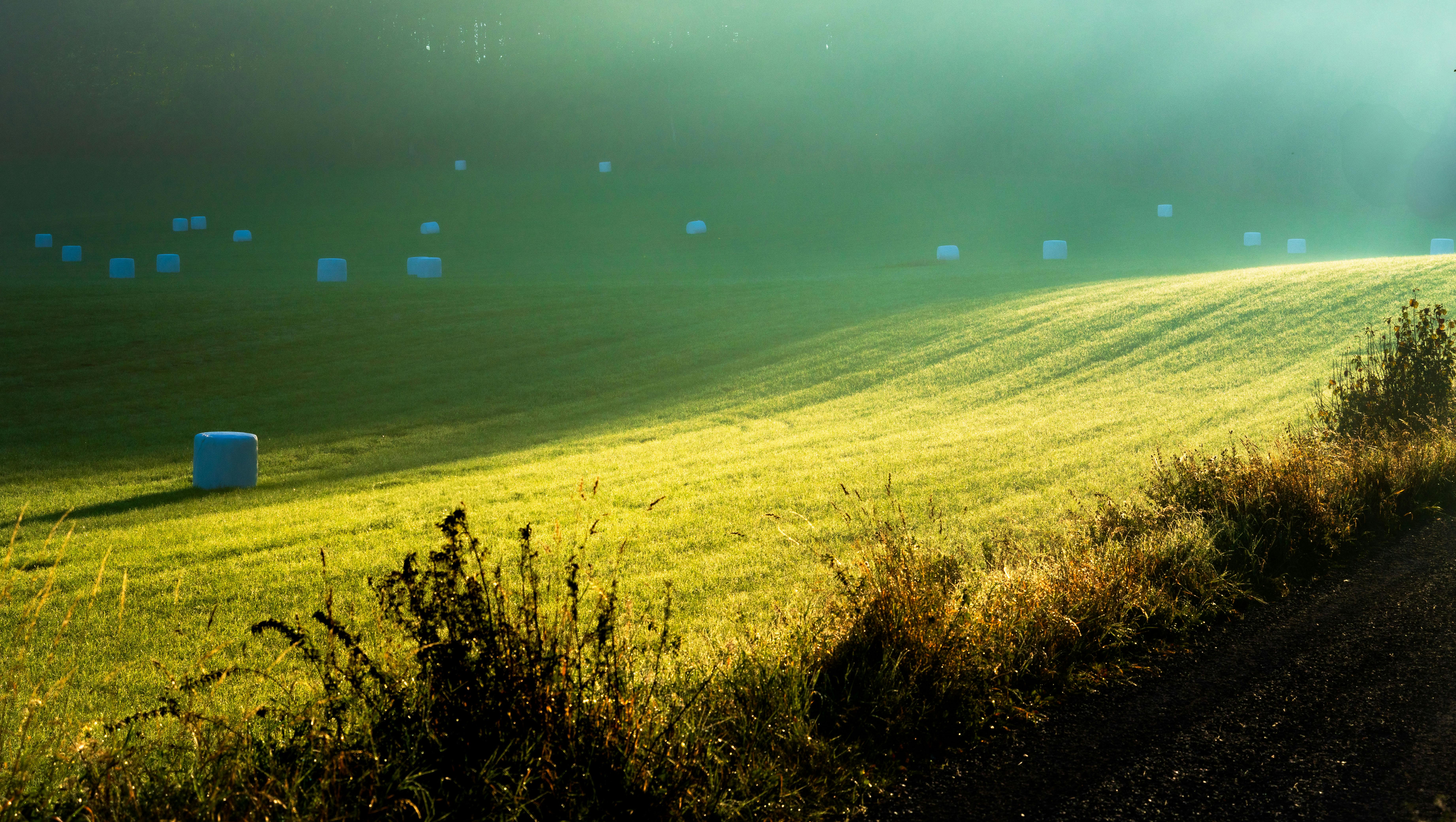 Rabi Crops Photos, Download The BEST Free Rabi Crops Stock Photos & HD ...