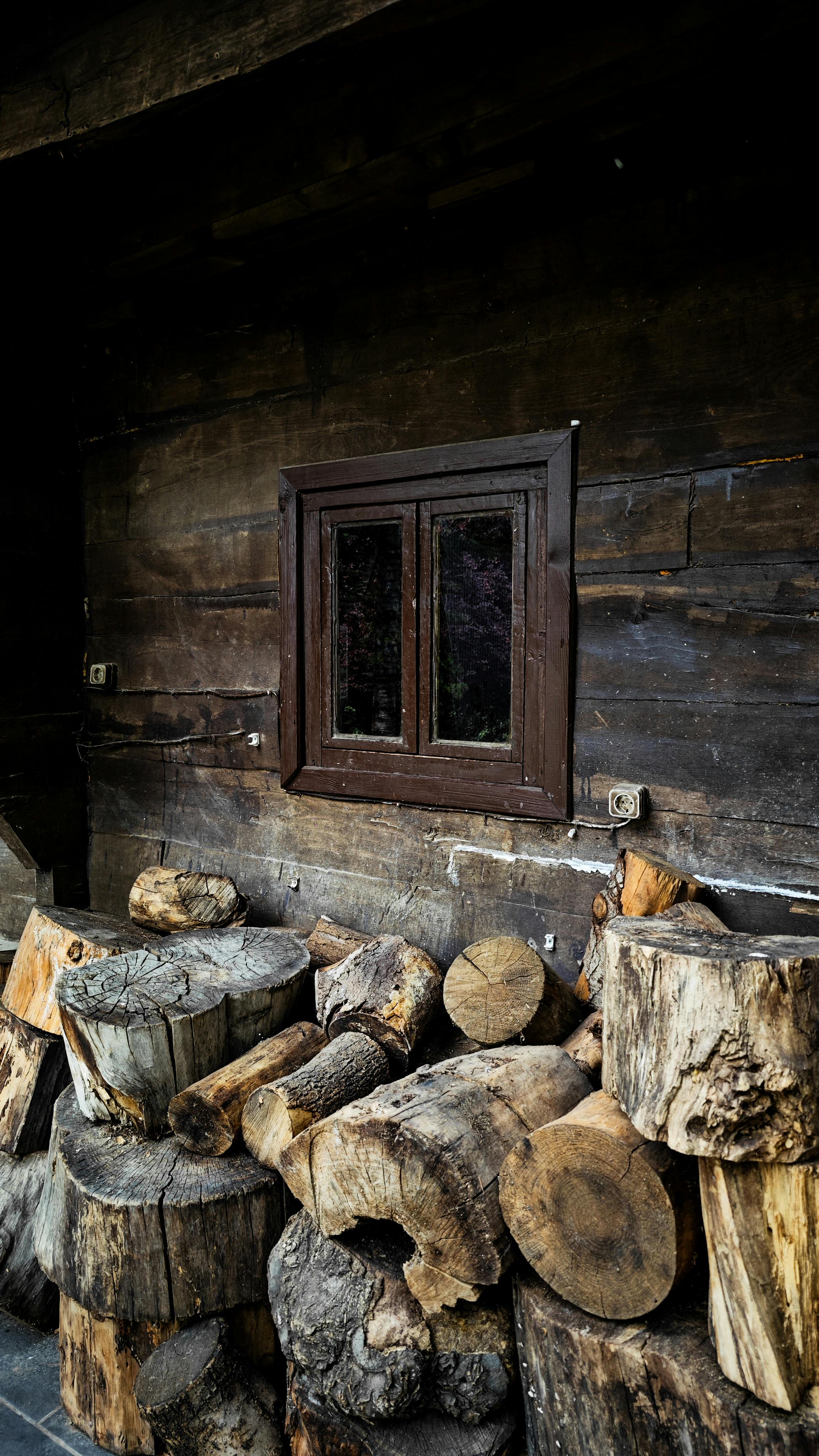 Brown Wooden Log Cabin · Free Stock Photo