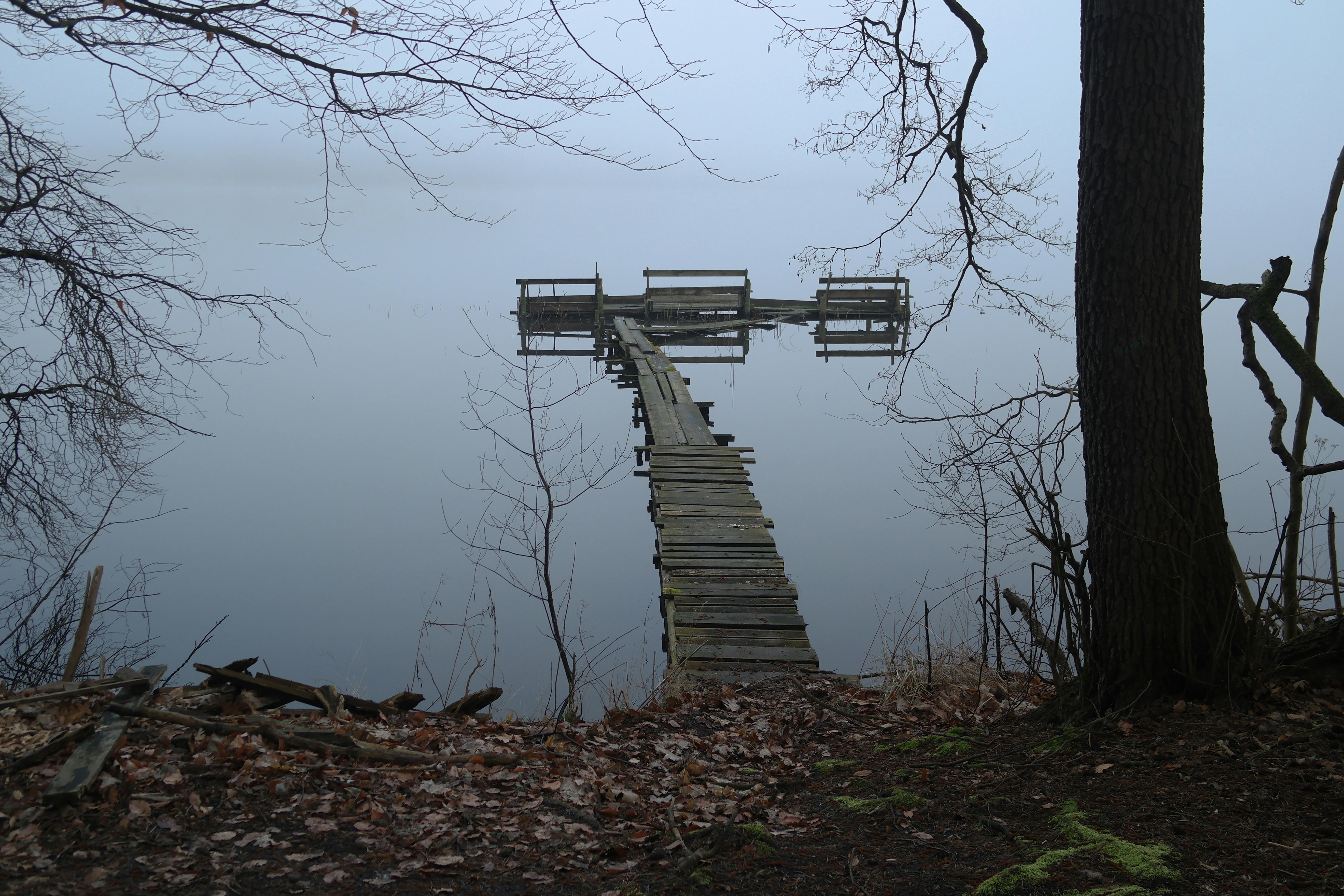 Rustic Dock Extends Over Serene Misty Lake · Free Stock Photo