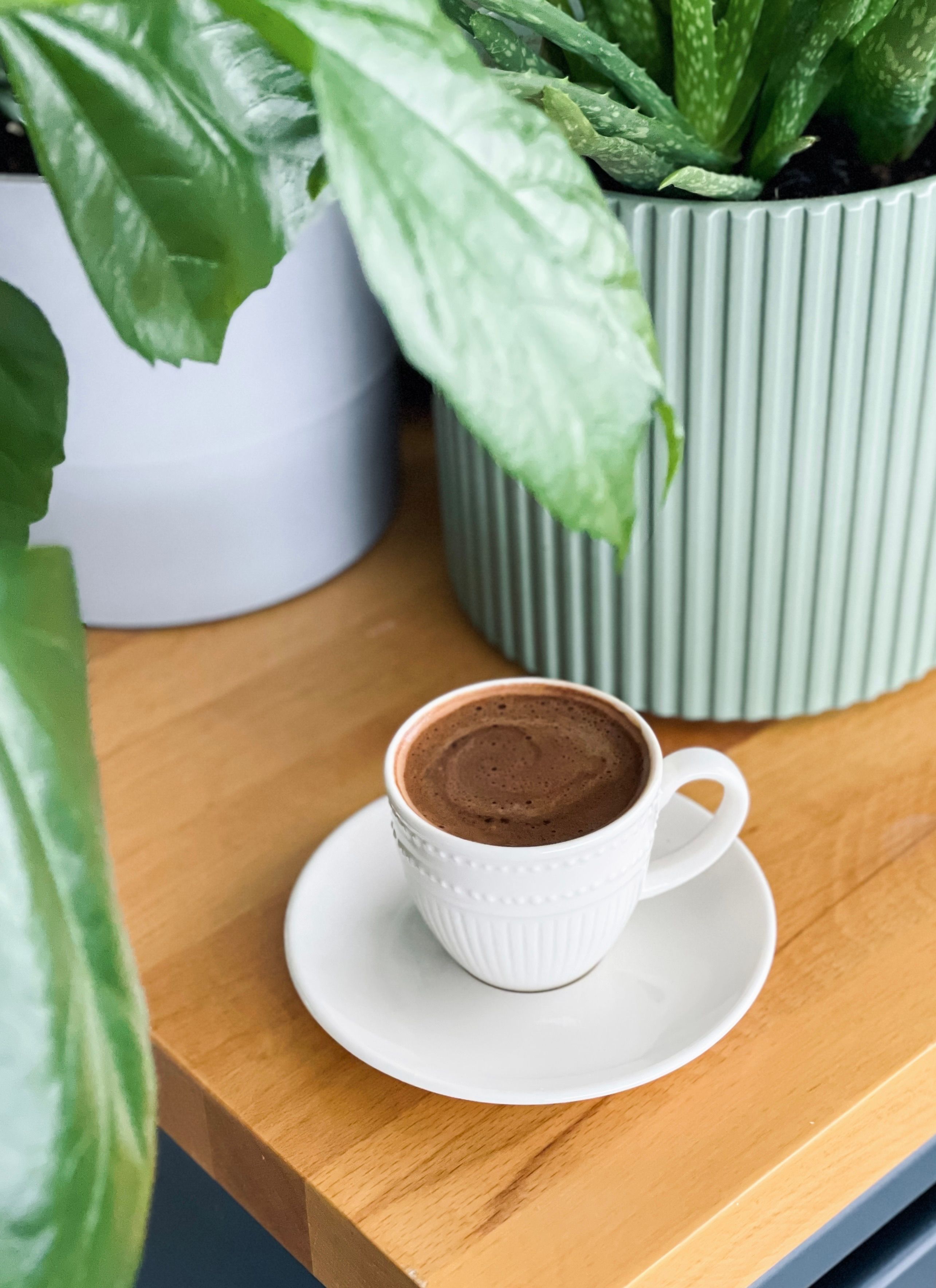 Close-up of Espresso with Greenery Indoors · Free Stock Photo