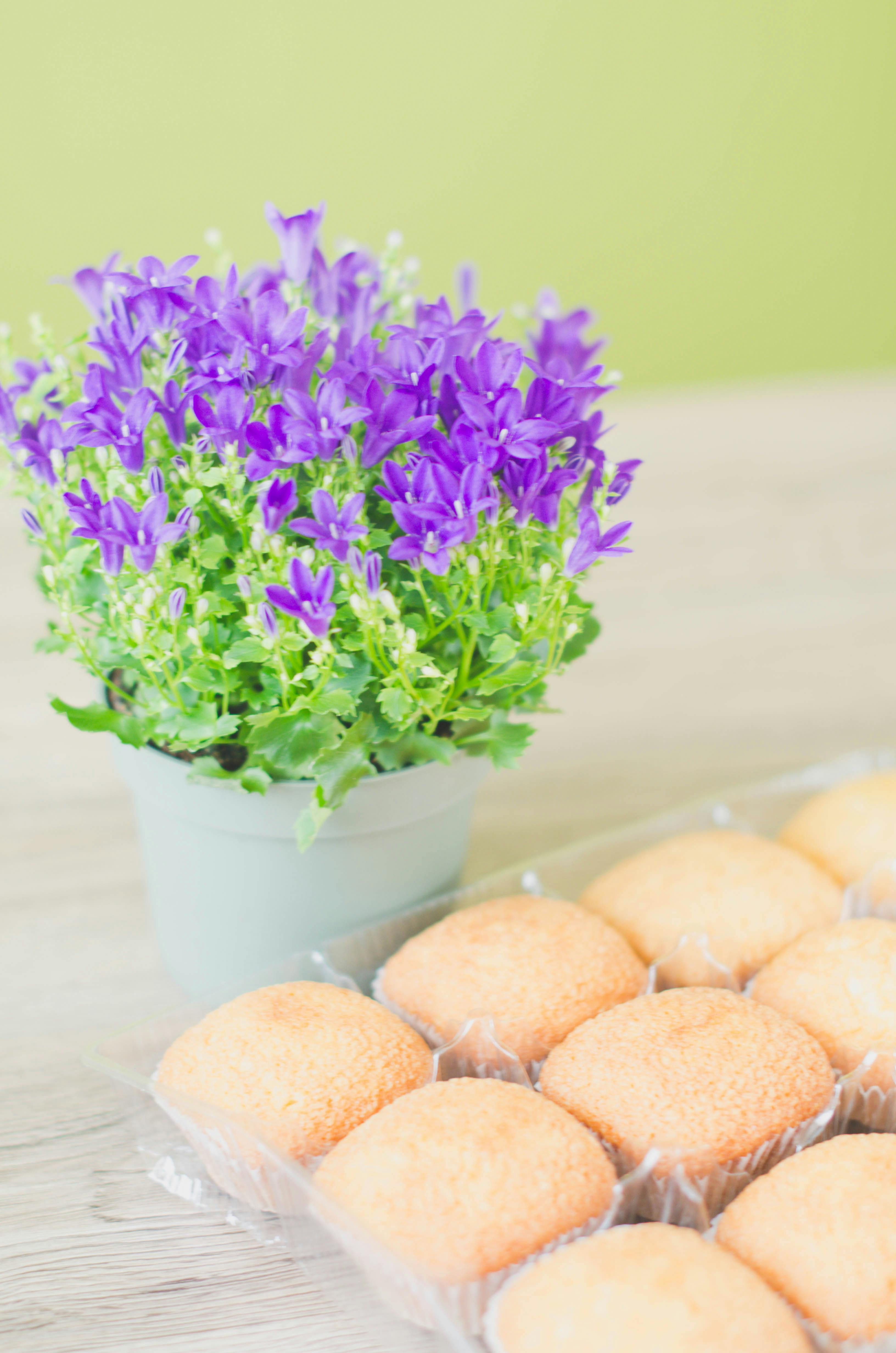 Purple Potted Flowers with Fresh Baked Goods · Free Stock Photo