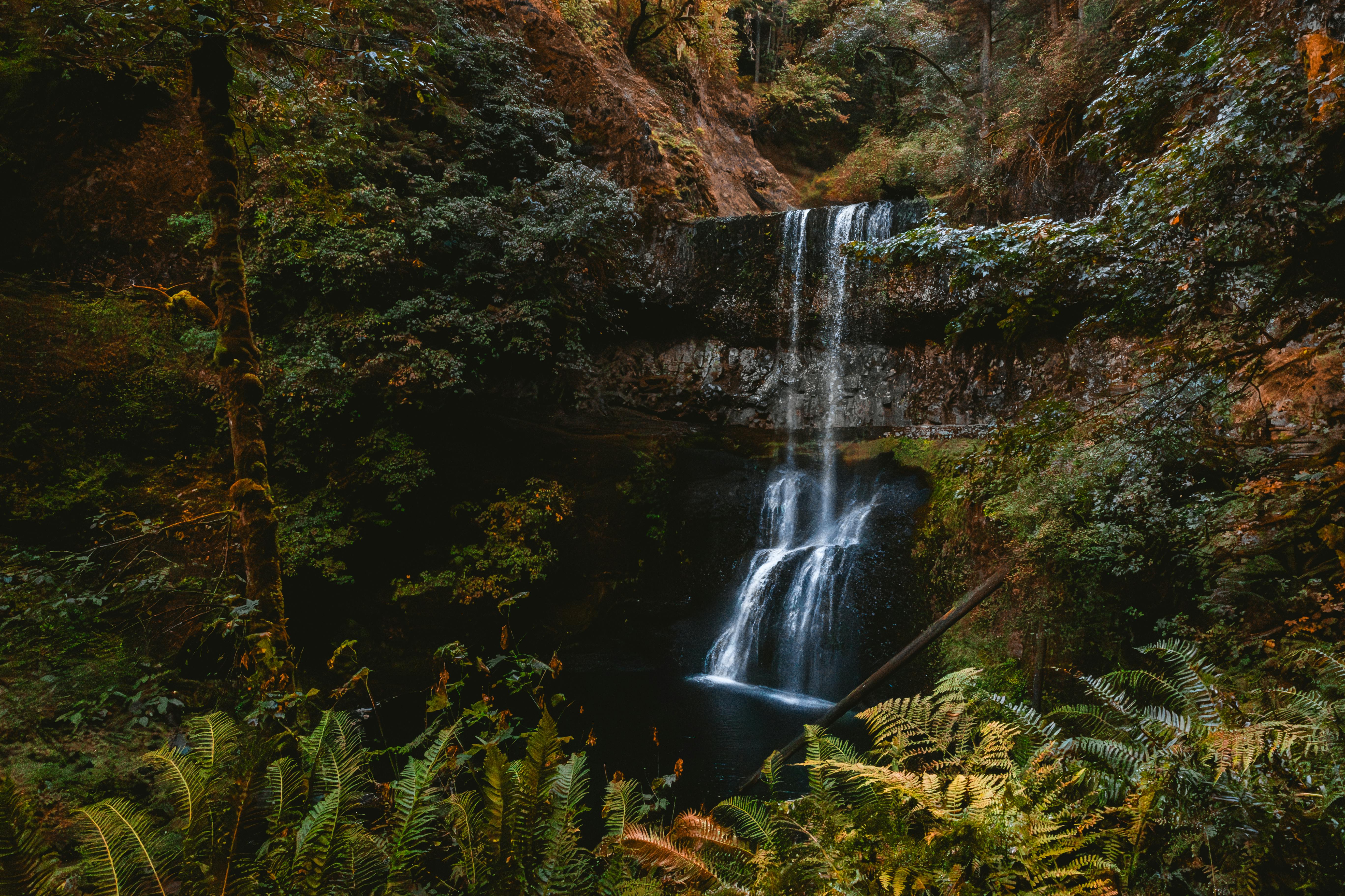 Waterfall in Silver Falls State Park · Free Stock Photo