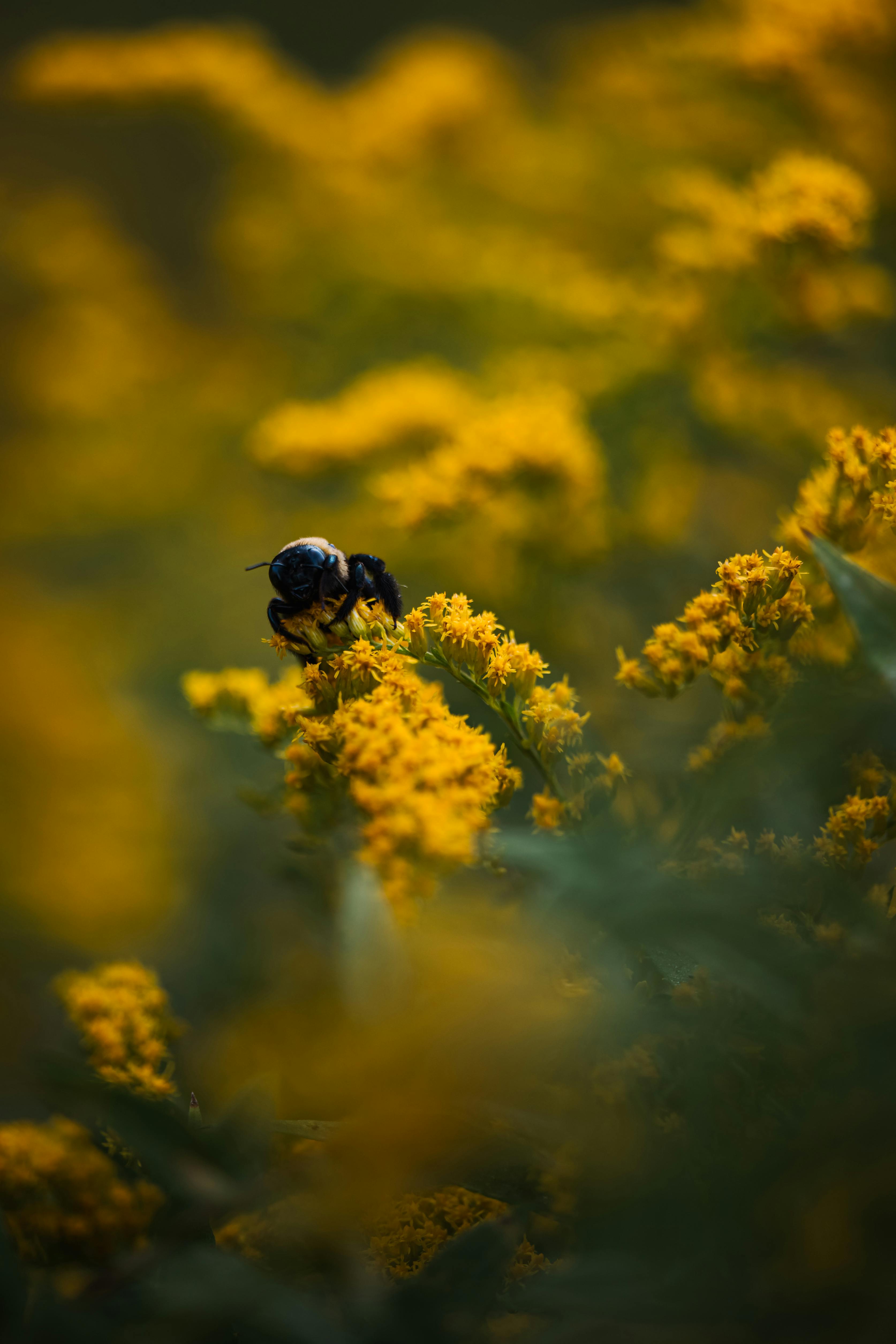 Bust Bug Photos, Download The BEST Free Bust Bug Stock Photos & HD Images