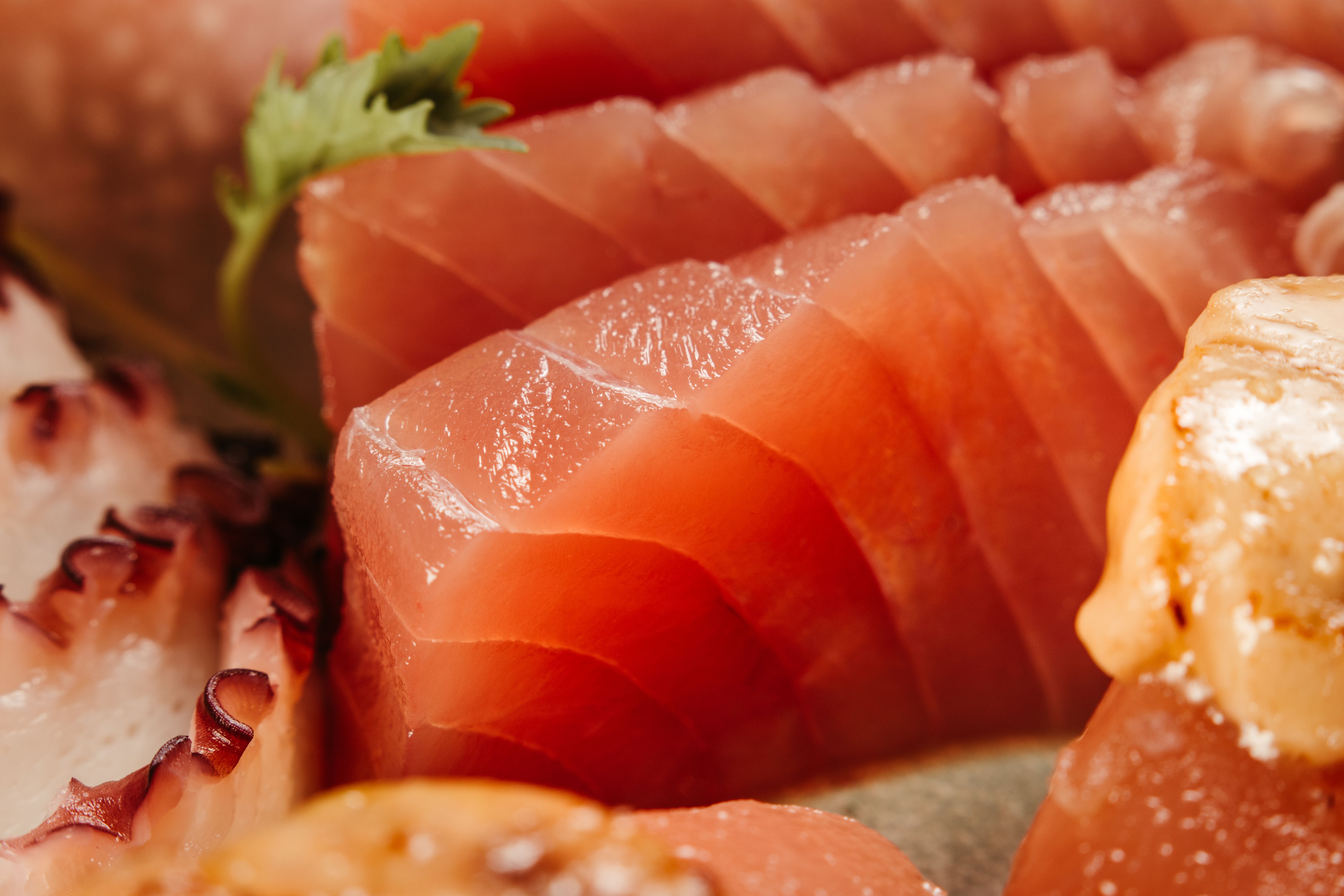 Close-Up of Fresh Sushi and Sashimi Assortment · Free Stock Photo