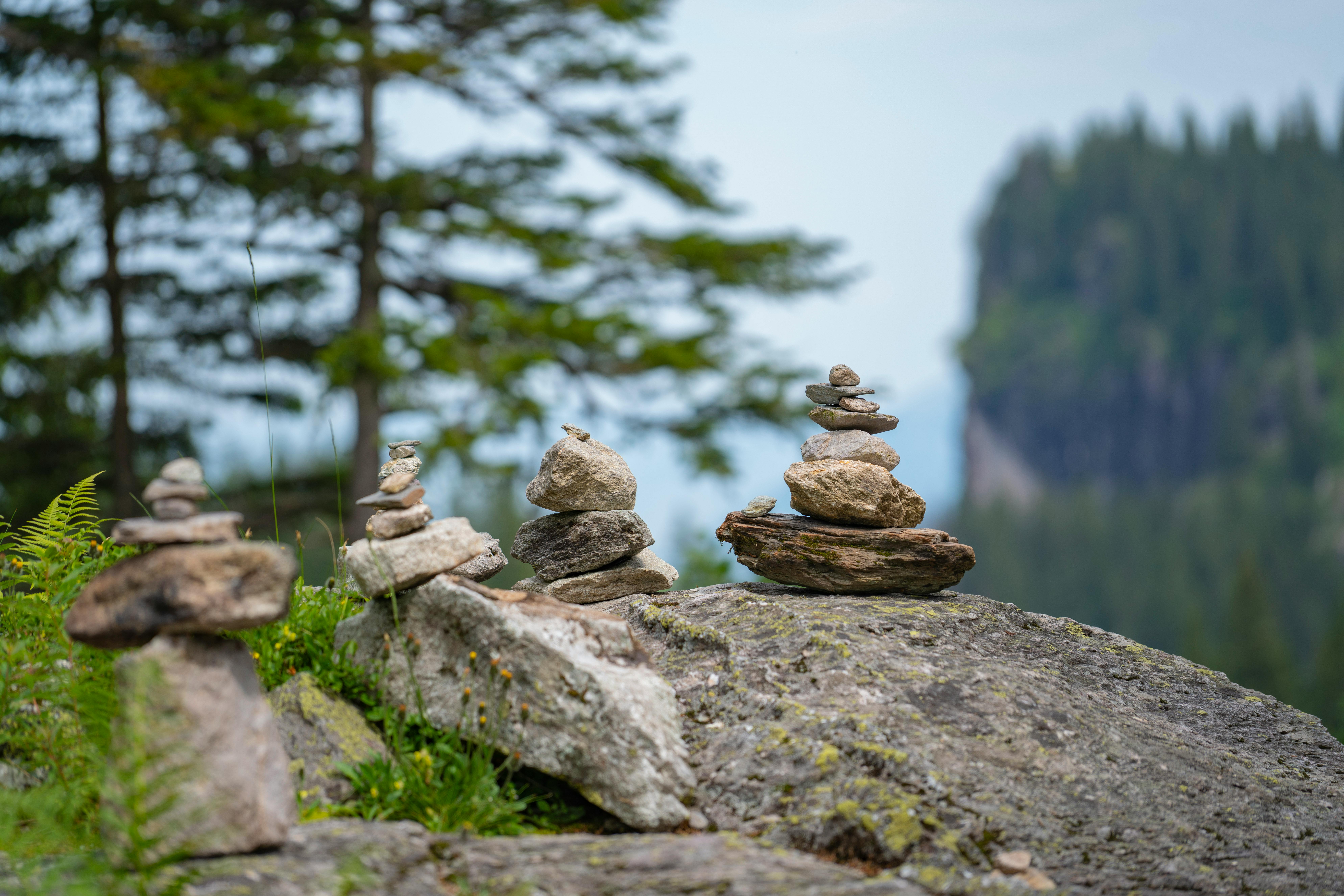 Stacked Stone Cairns in a Serene Forest Setting · Free Stock Photo