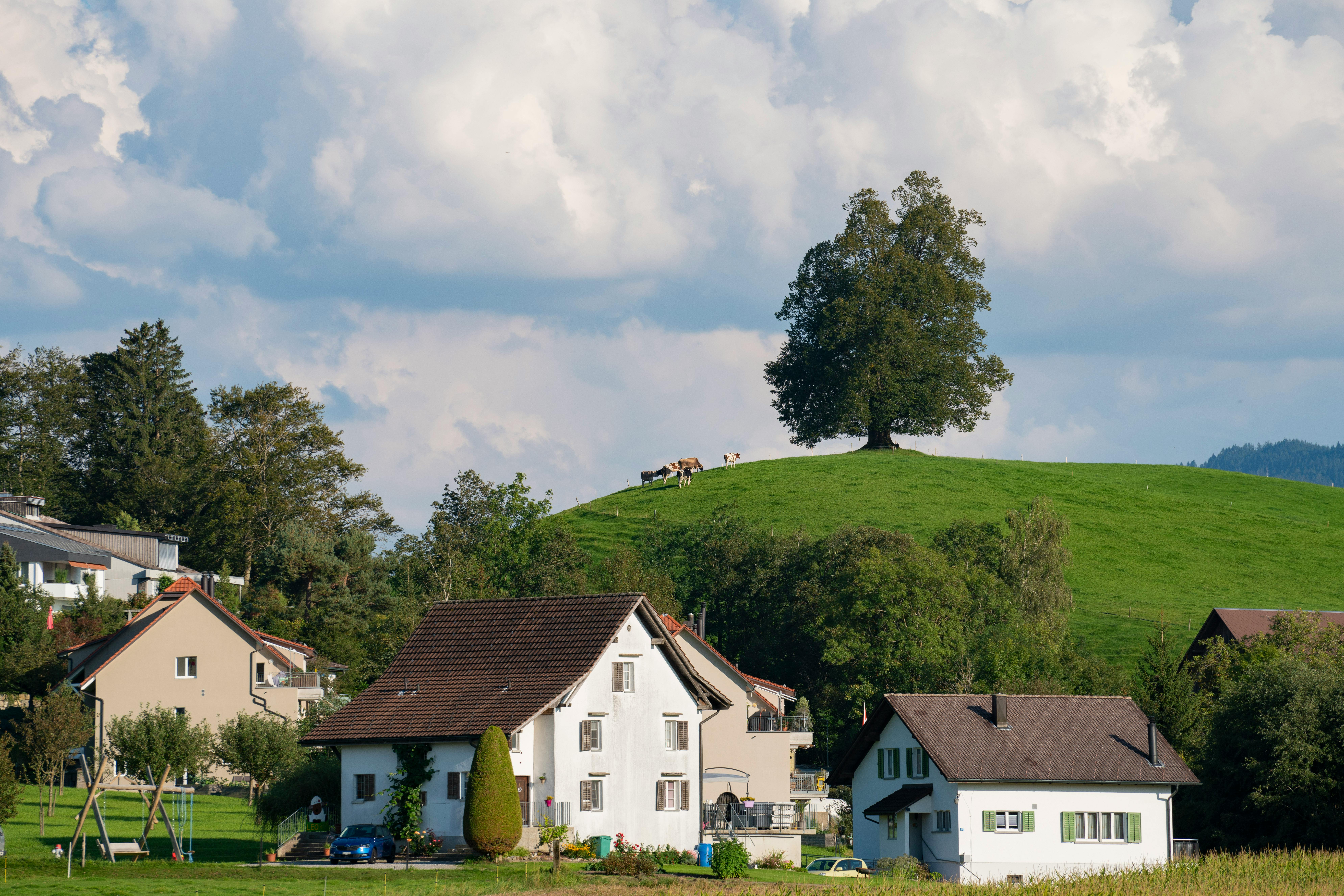 Charming Countryside Landscape with Houses and Hill · Free Stock Photo