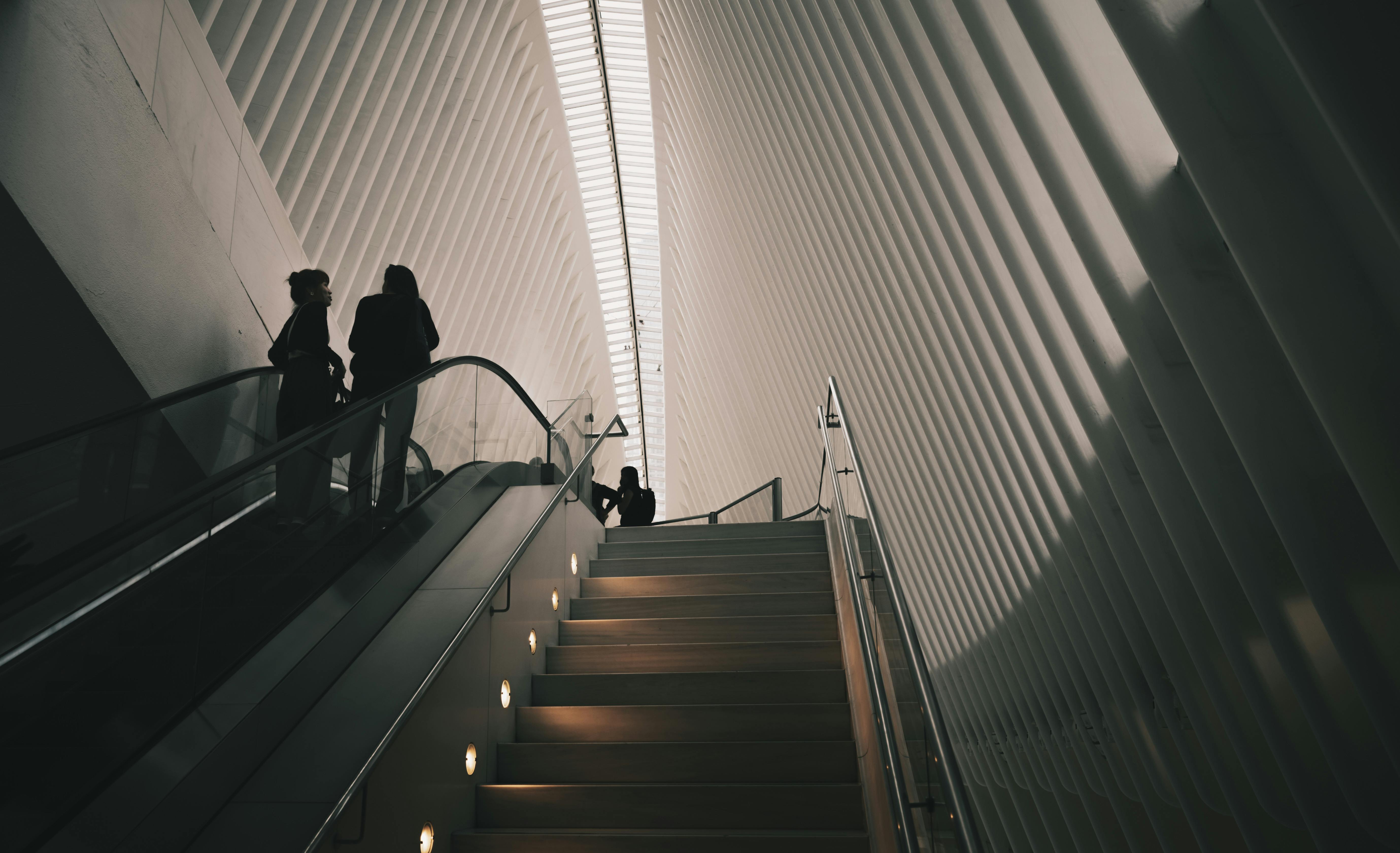 Person 1 Photos, Download The BEST Free Person 1 Stock Photos & HD Images