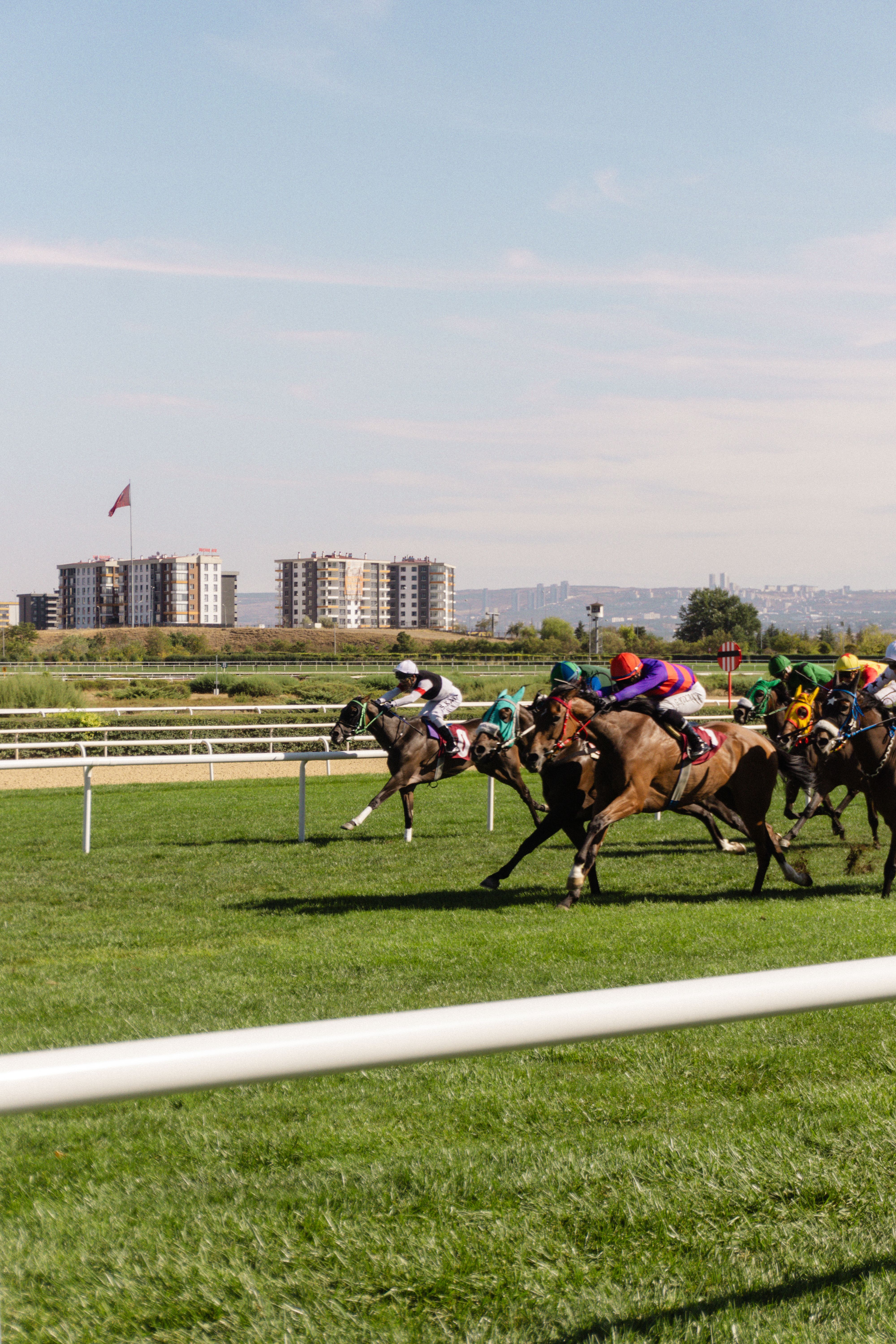 Exciting Horse Race on Green Grass Track · Free Stock Photo