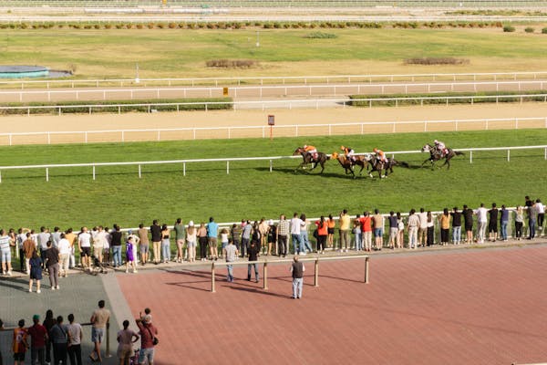 Horse Race Photos, Download The BEST Free Horse Race Stock Photos & HD ...