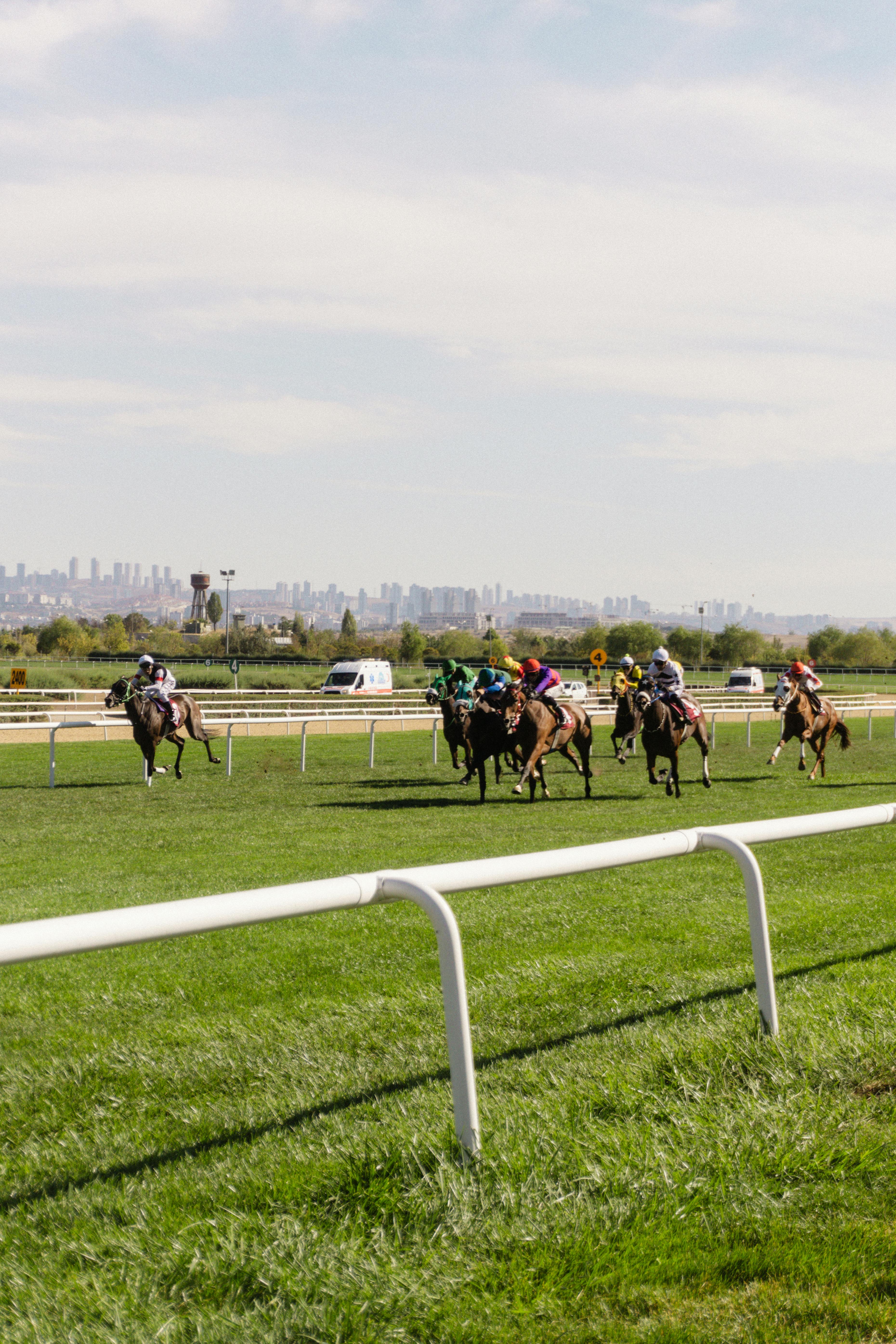 Horse Racing Event on a Sunny Day · Free Stock Photo