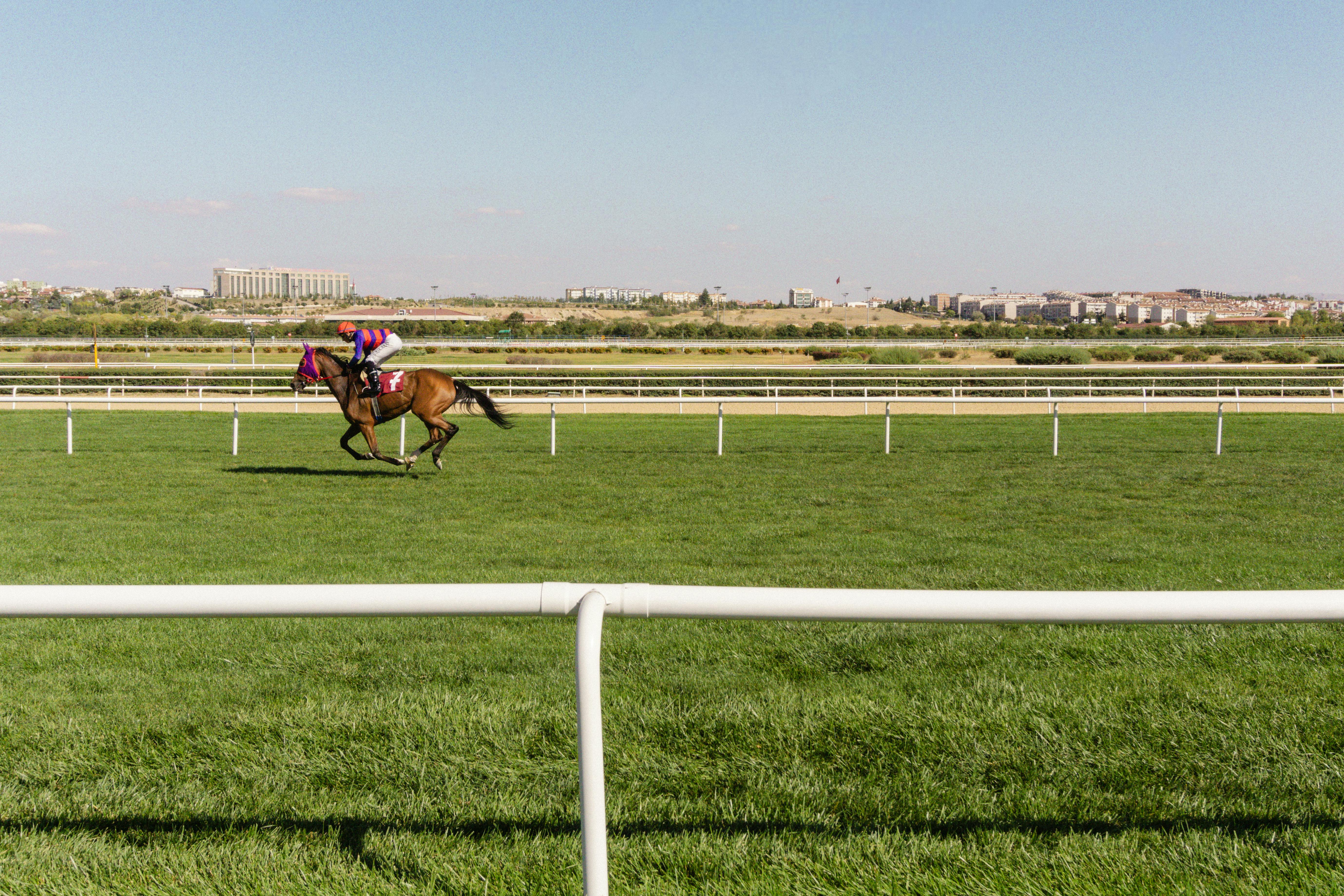 Horse Racing Green Photos, Download The BEST Free Horse Racing Green ...