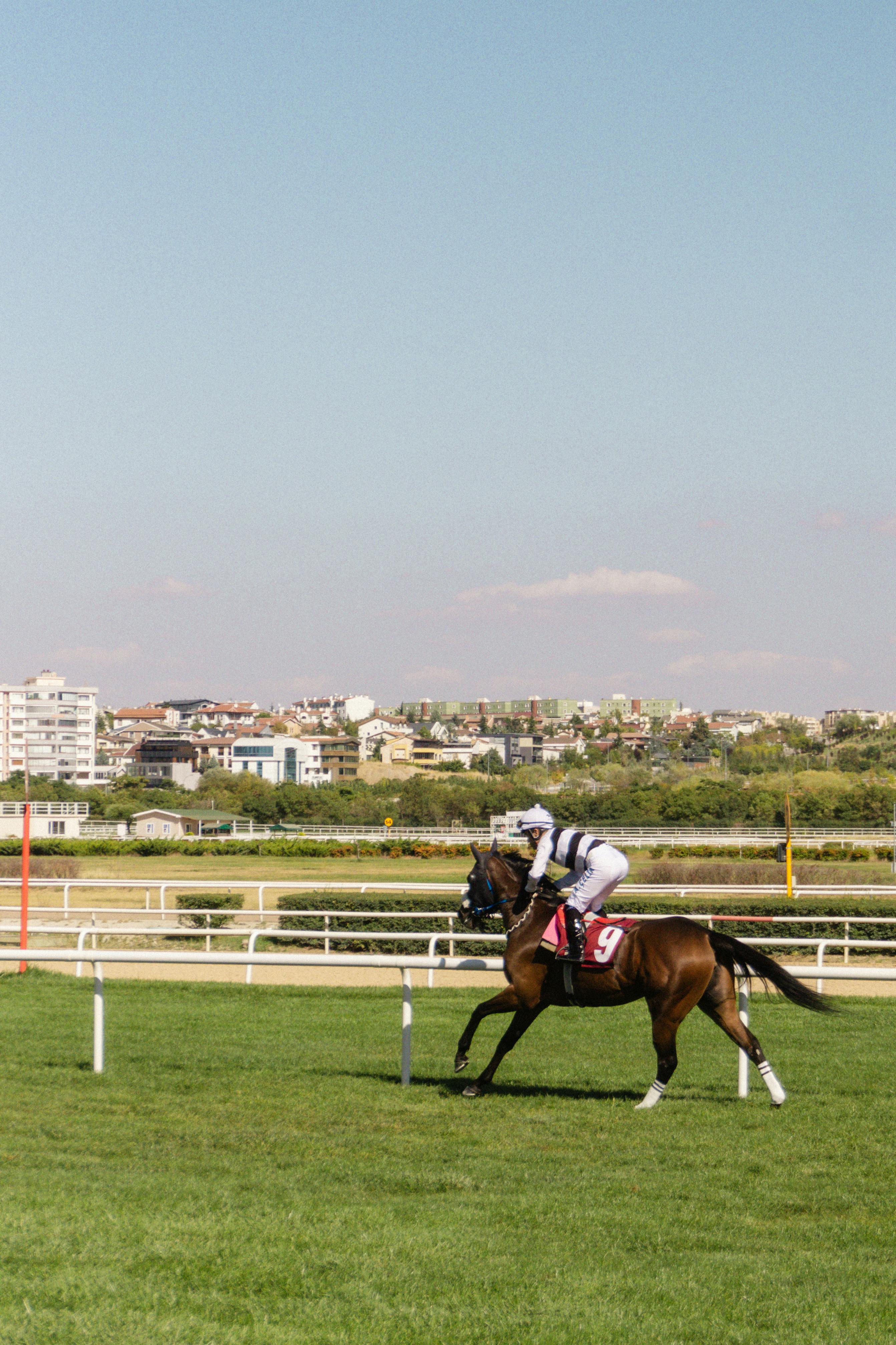 Race Track Racing Photos, Download The BEST Free Race Track Racing ...