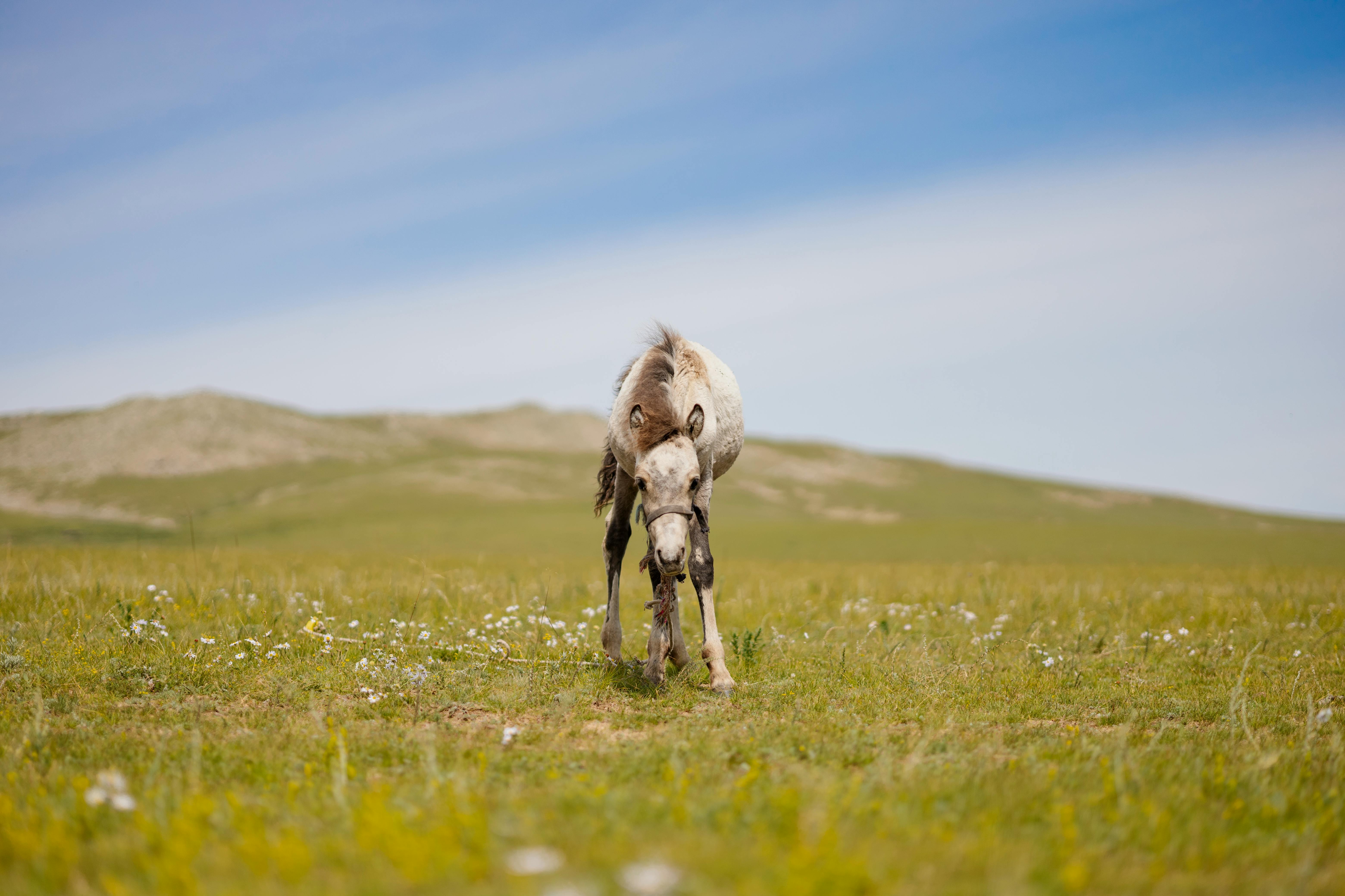 Free Non Batikcopyrighted Photos, Download The BEST Free Free Non ...