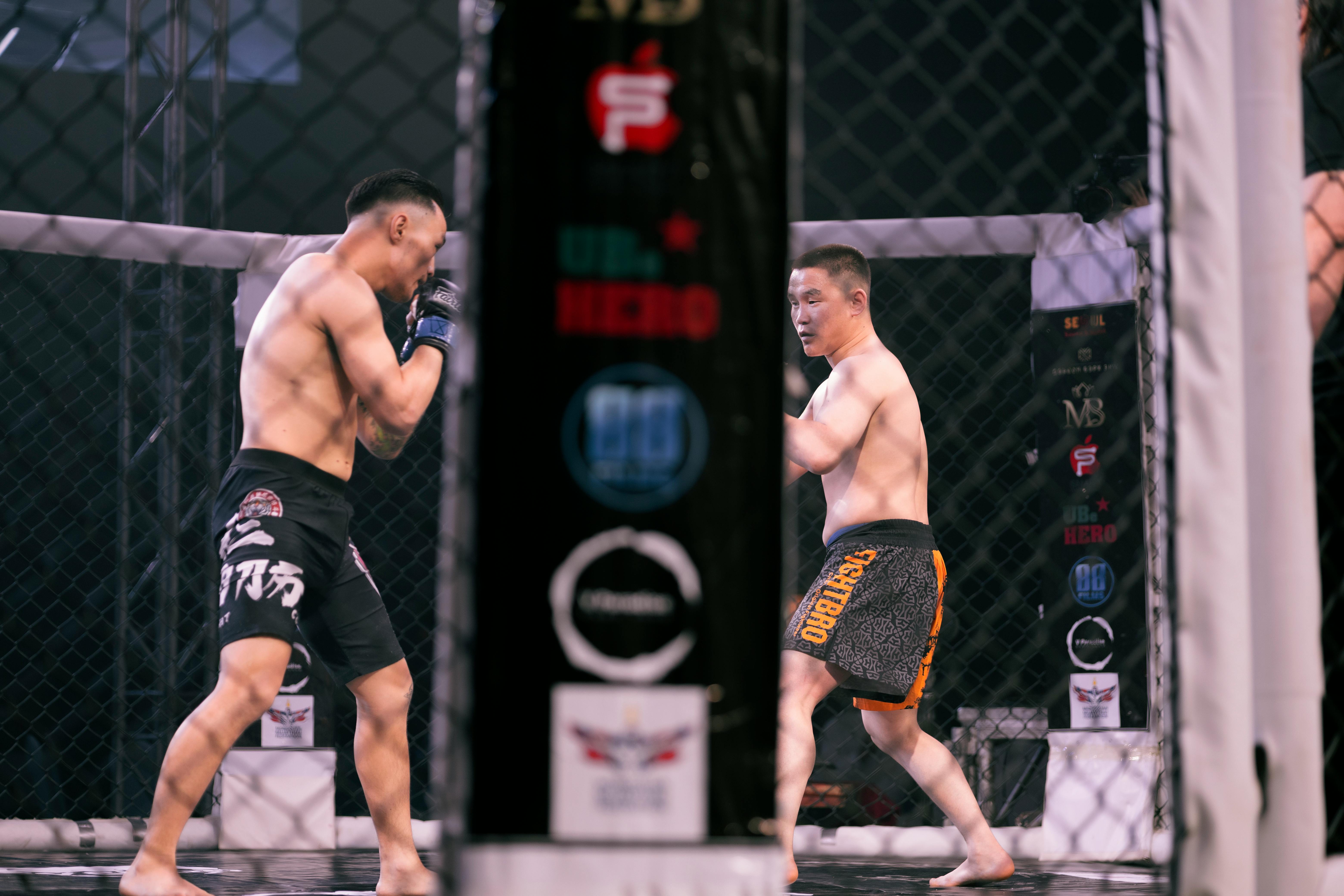 Intense MMA Fight in the Octagon · Free Stock Photo