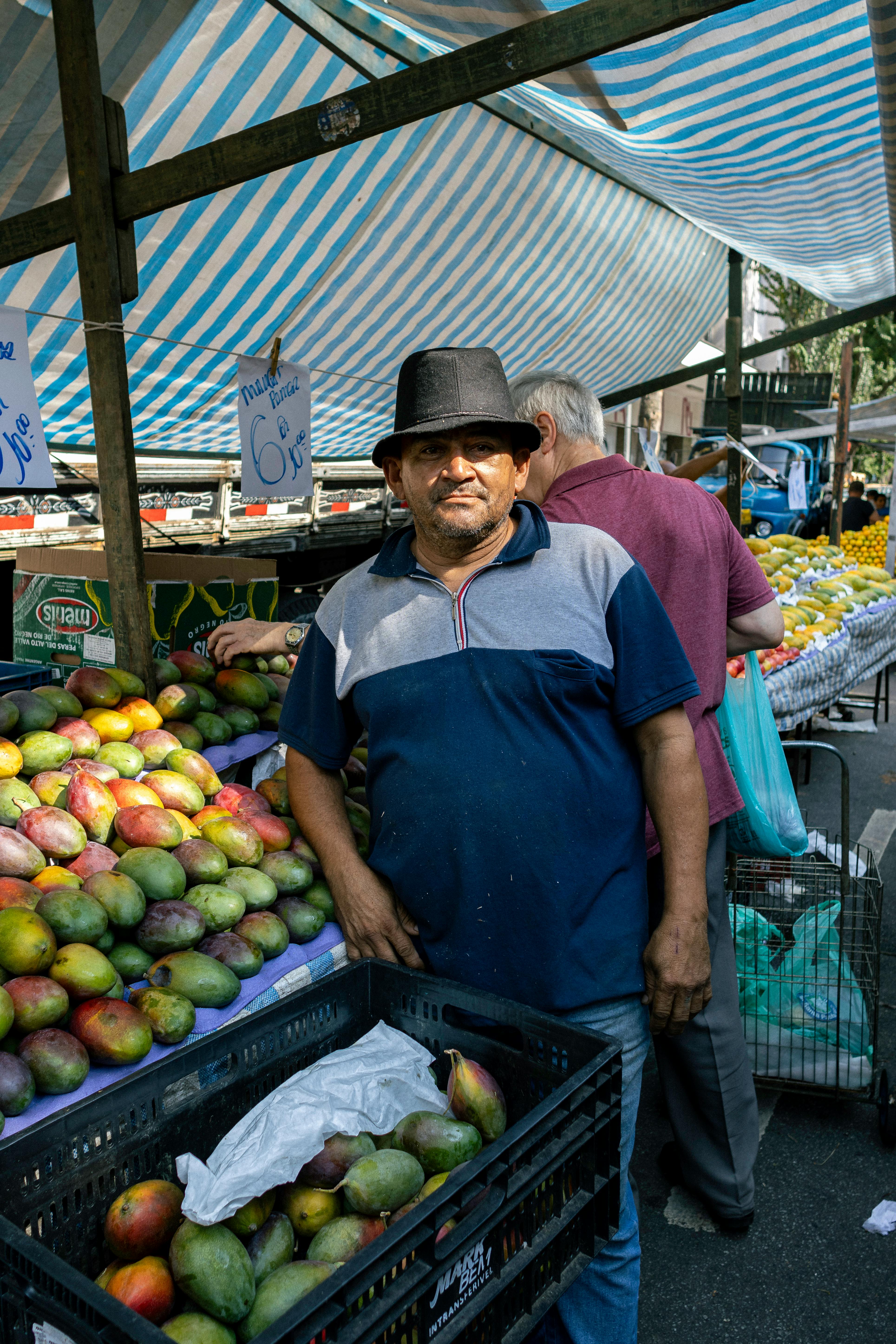 Mango Blume Photos, Download The BEST Free Mango Blume Stock Photos ...