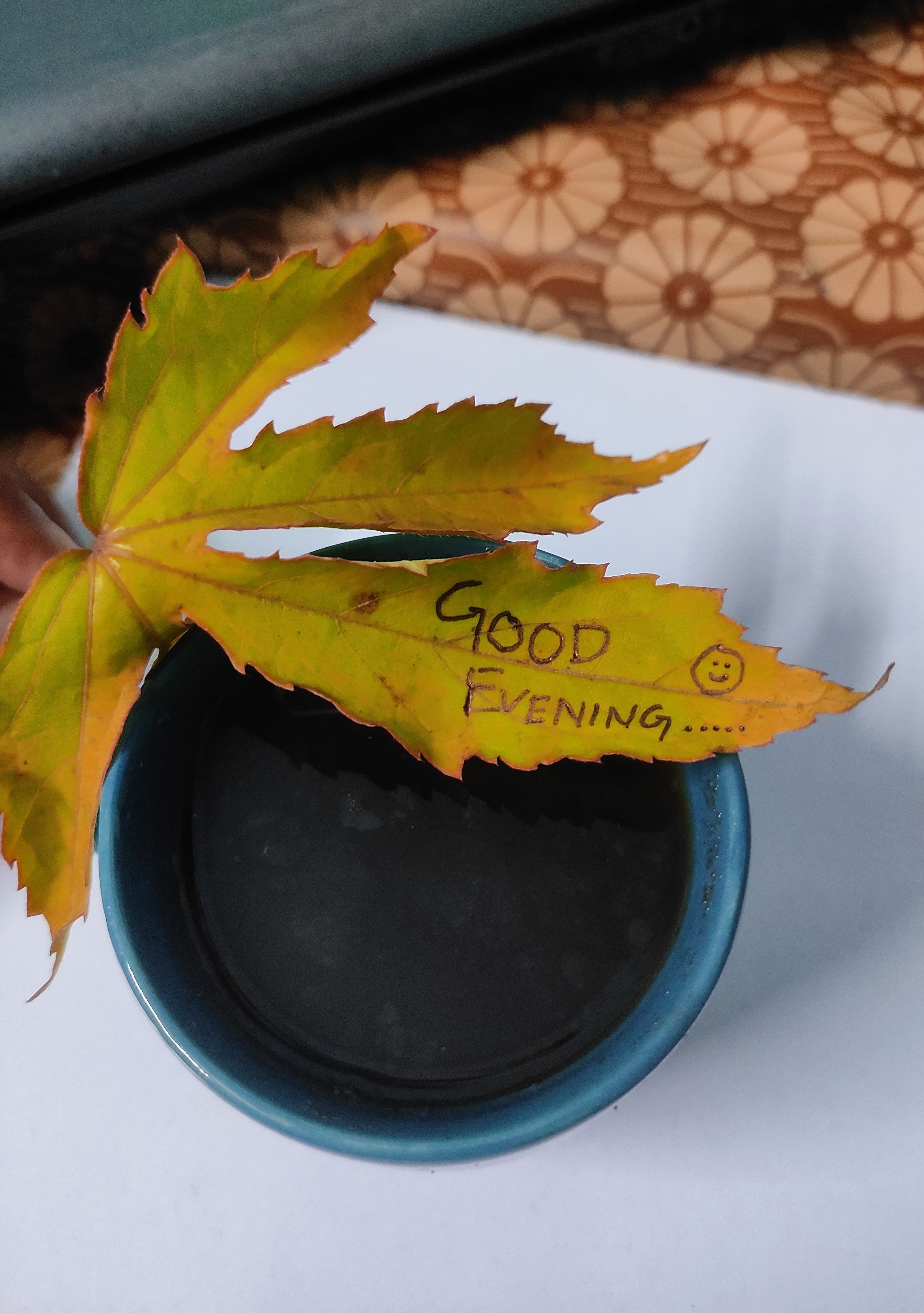 Leaf Decorated Coffee Cup with Good Evening Message · Free Stock Photo