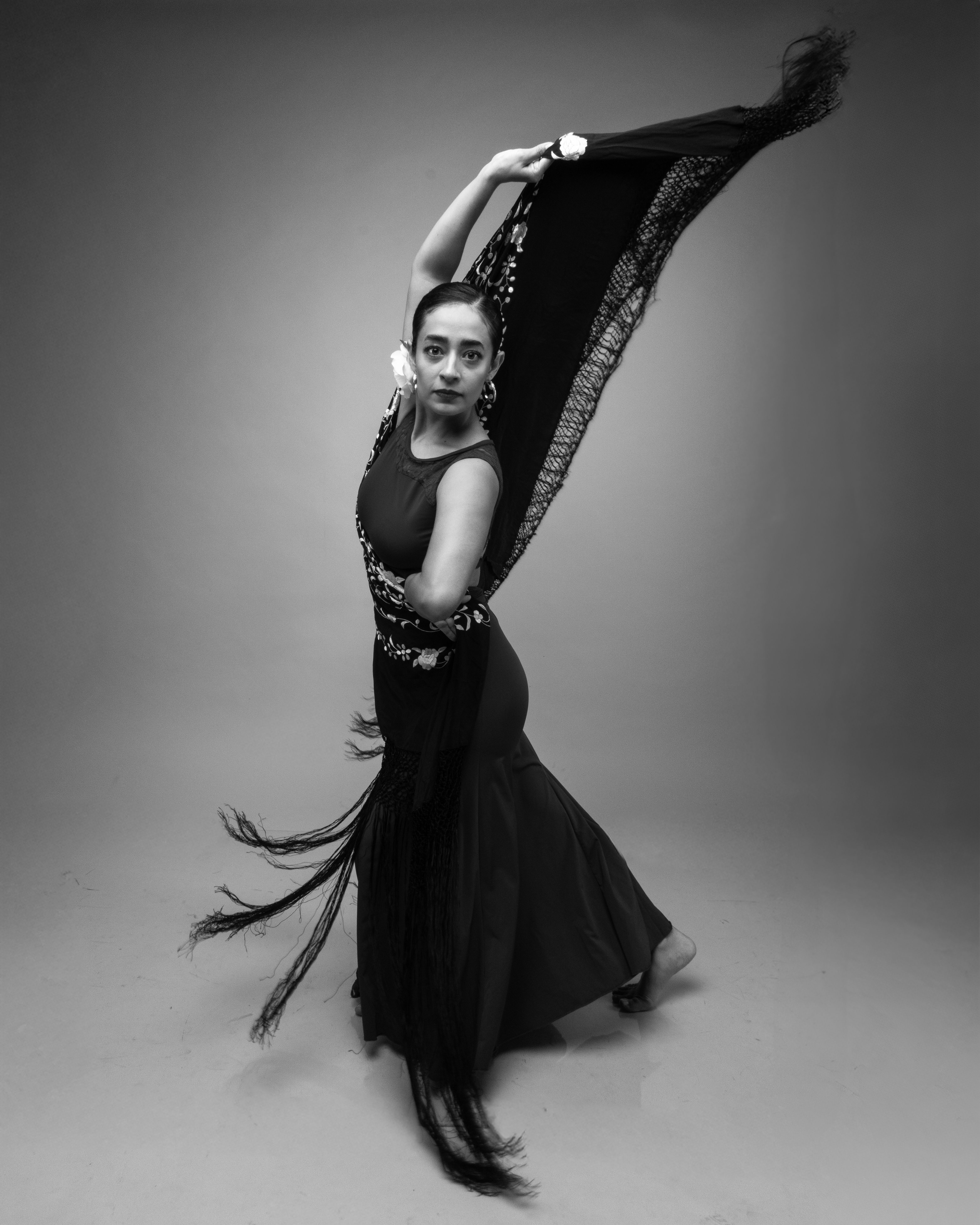 Bailaora De Flamenco Elegante Con Traje Tradicional · Foto de stock ...